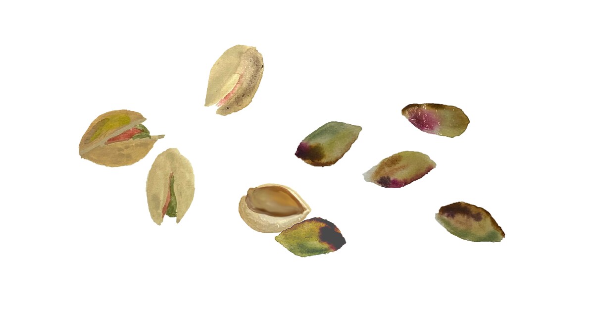 Het grote pistache-onderzoek: hoe groeit die noot? | Het Parool