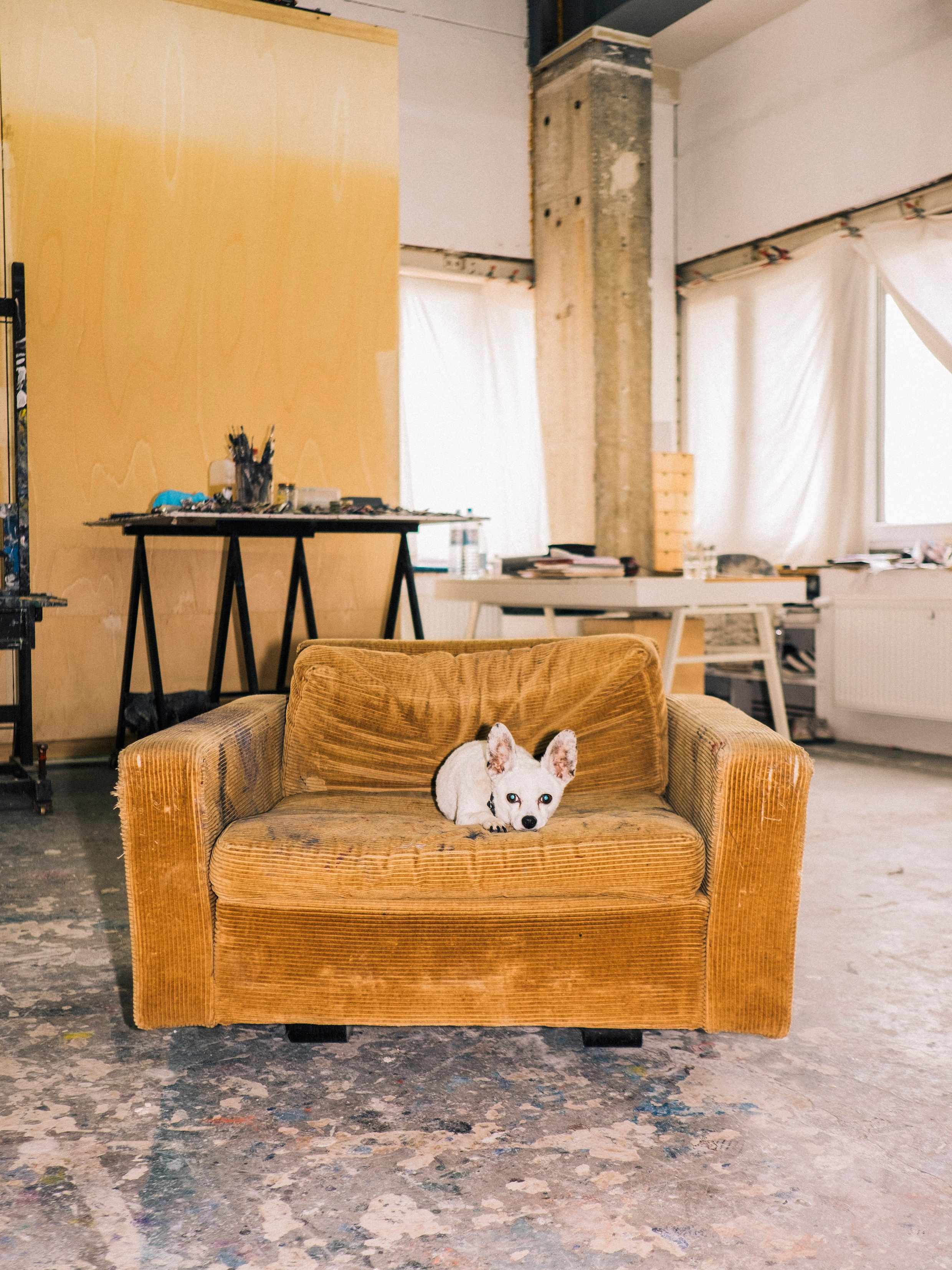 Kunstenares Helen Verhoeven schuwt de duistere kant van de mens niet ...