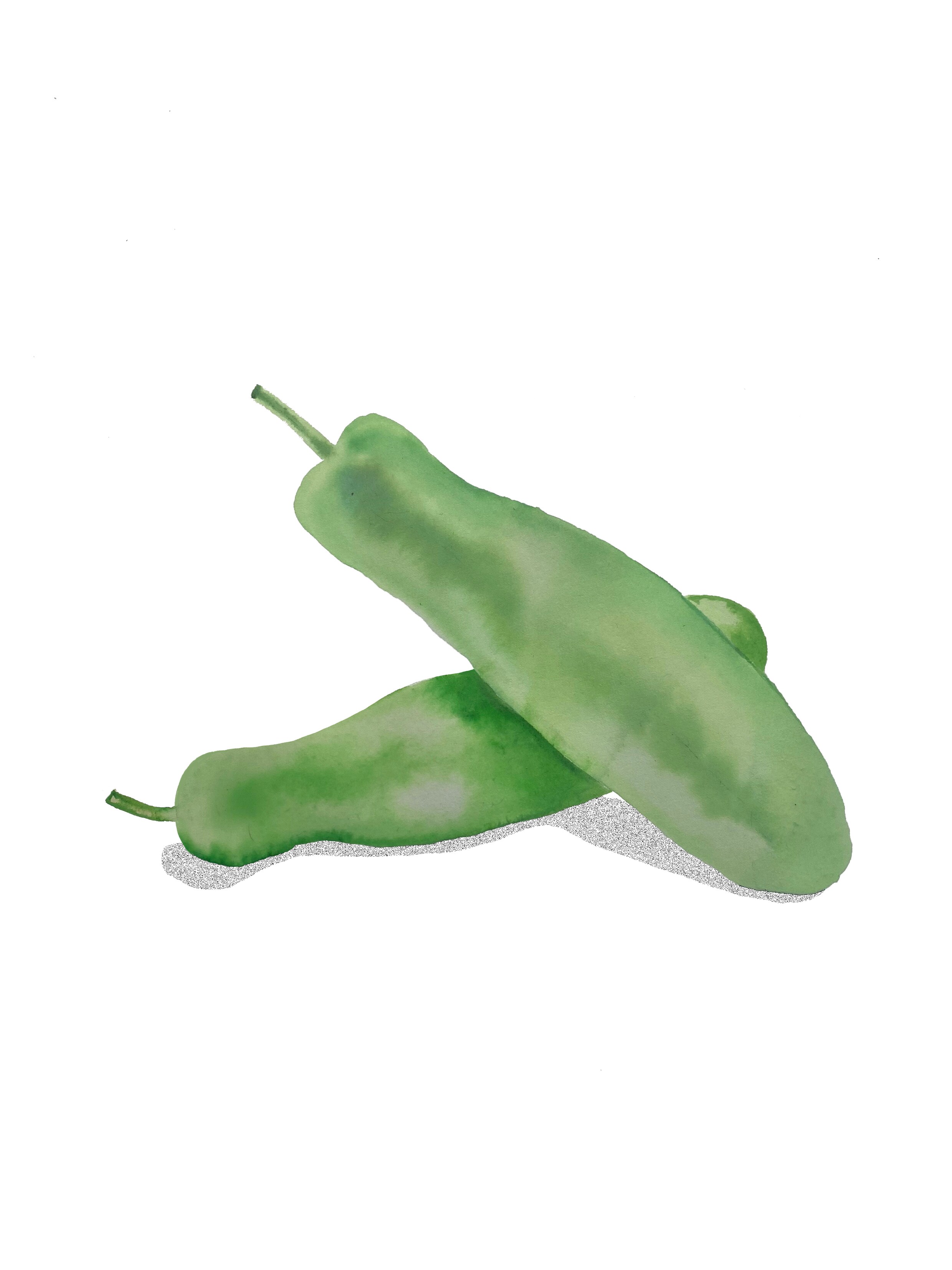 Misschien kent u onbewust deze handige kalebas al | Het Parool