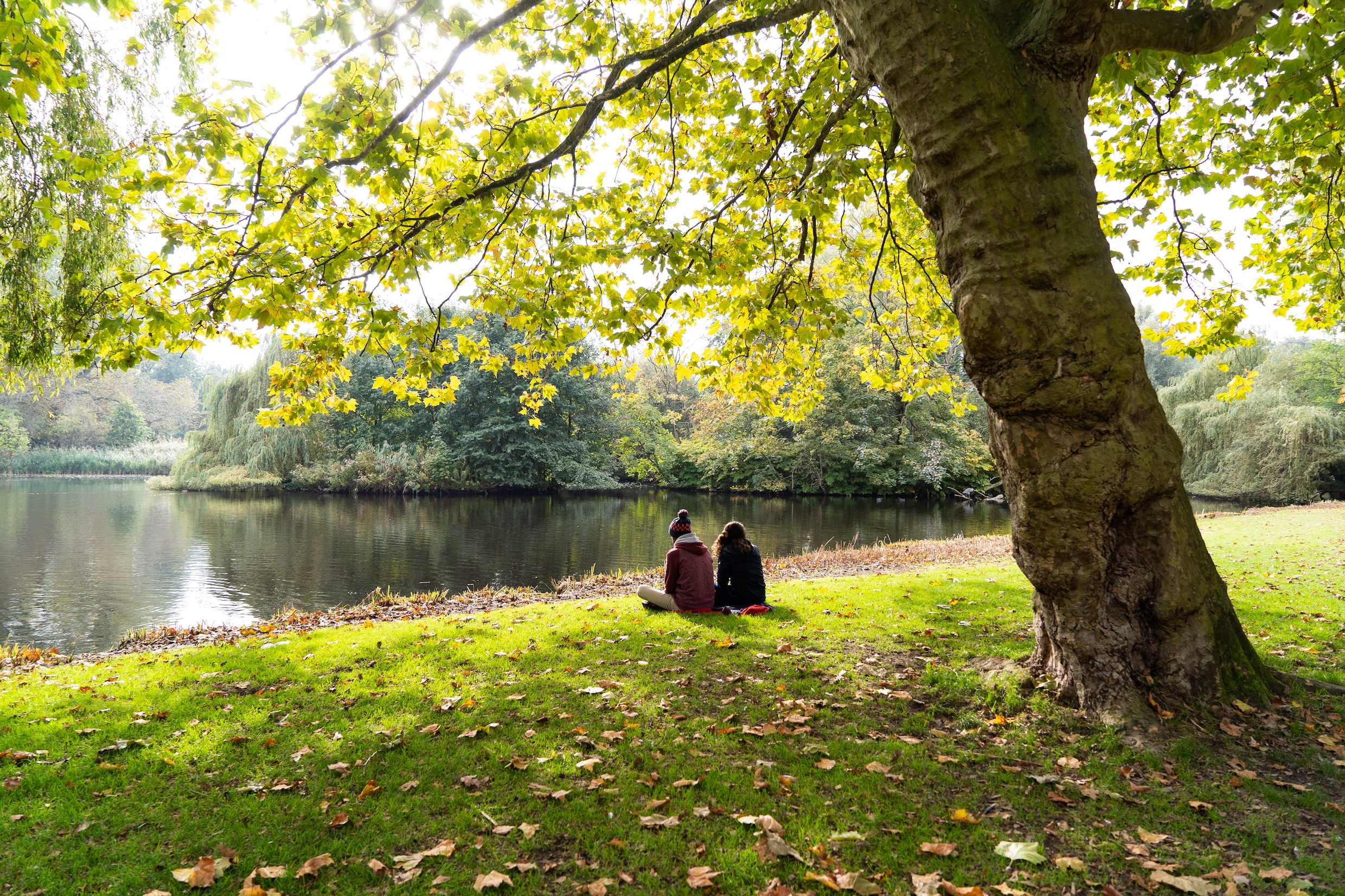 Na komend weekend weer warmer: 20 graden kan makkelijk gehaald worden ...