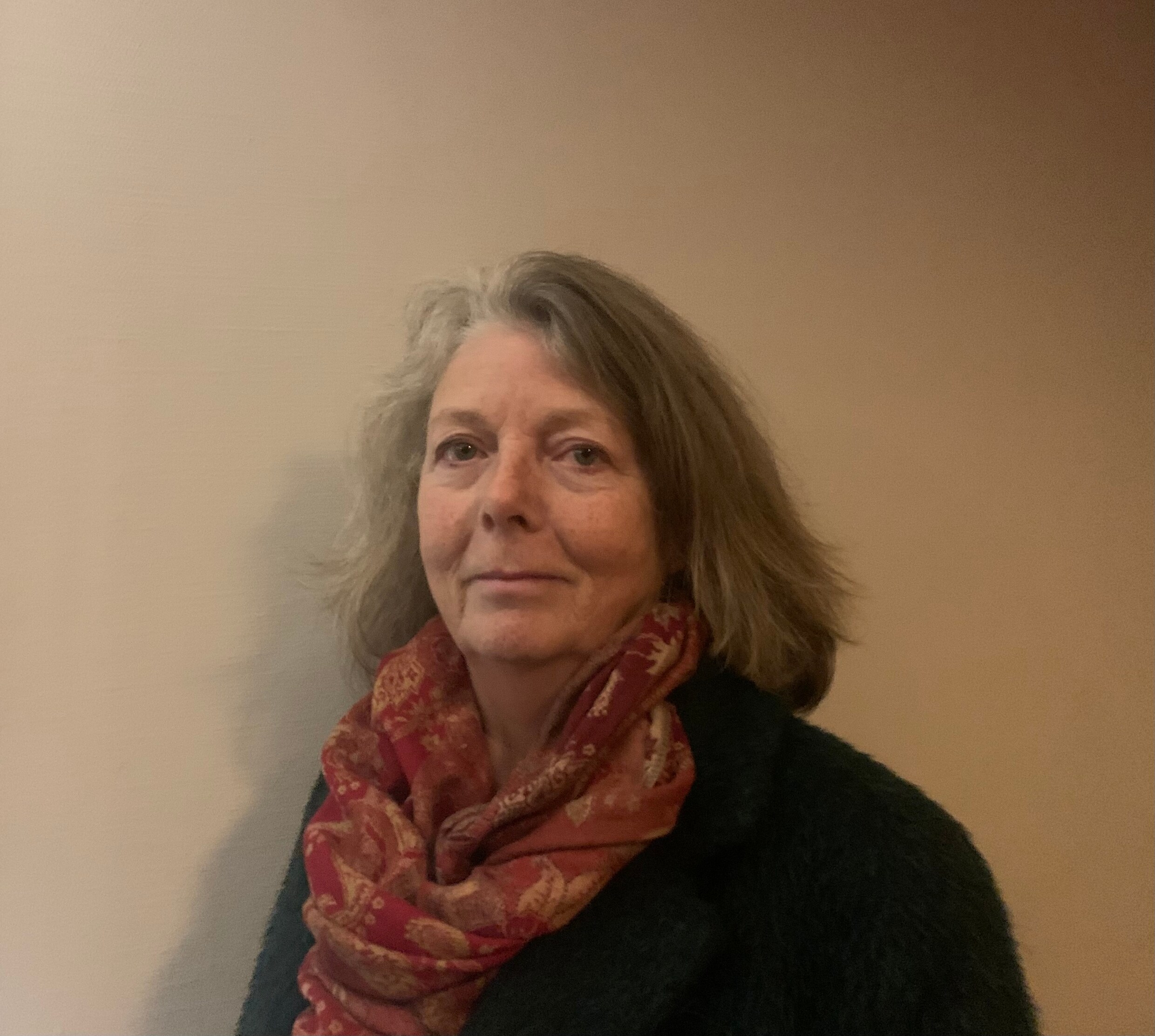 Popcorn Panel over The Power of the Dog: ‘Voelbare onderhuidse spanning ...