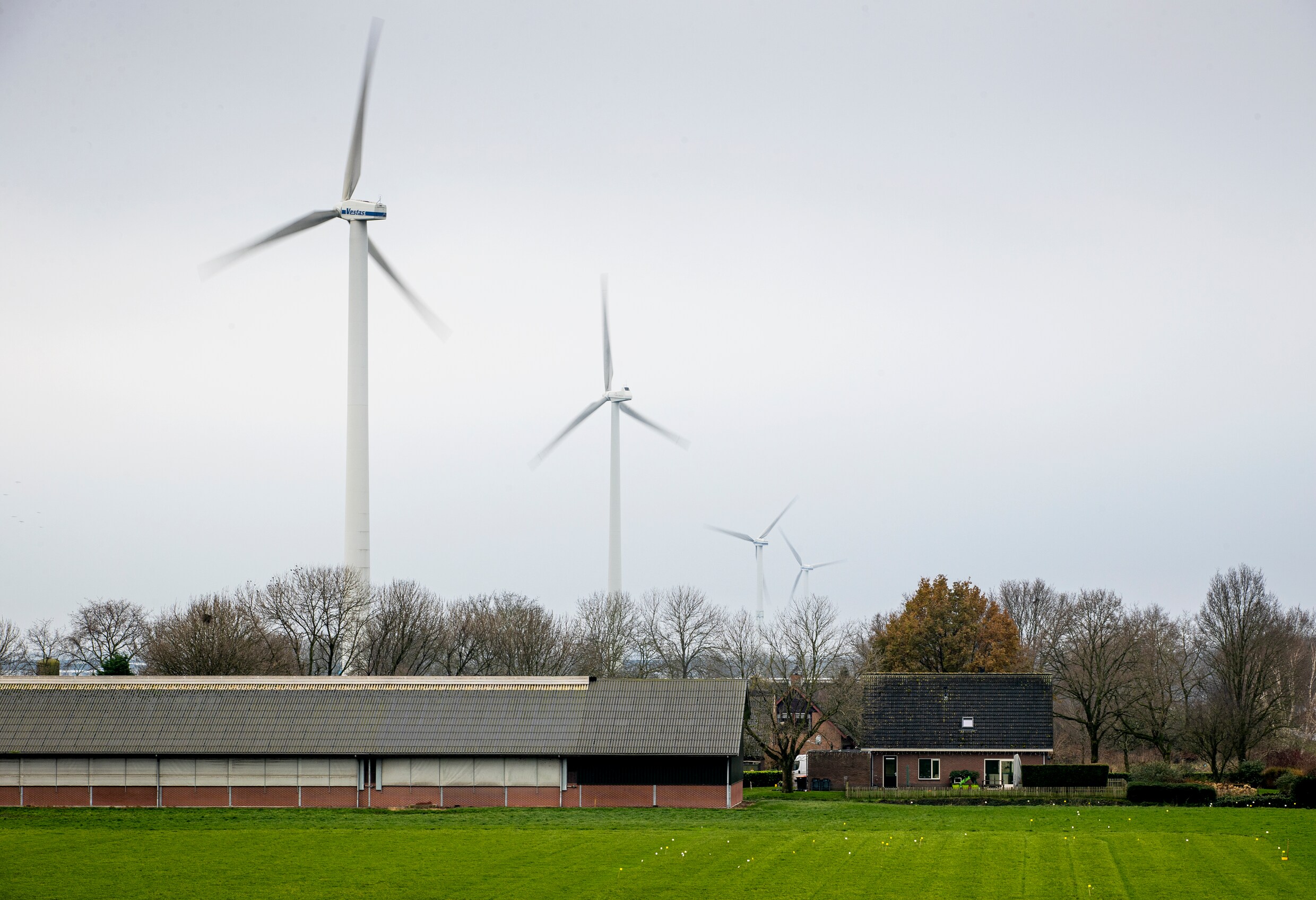 Moederbedrijf Facebook staakt plan voor datacenter Zeewolde | Het Parool