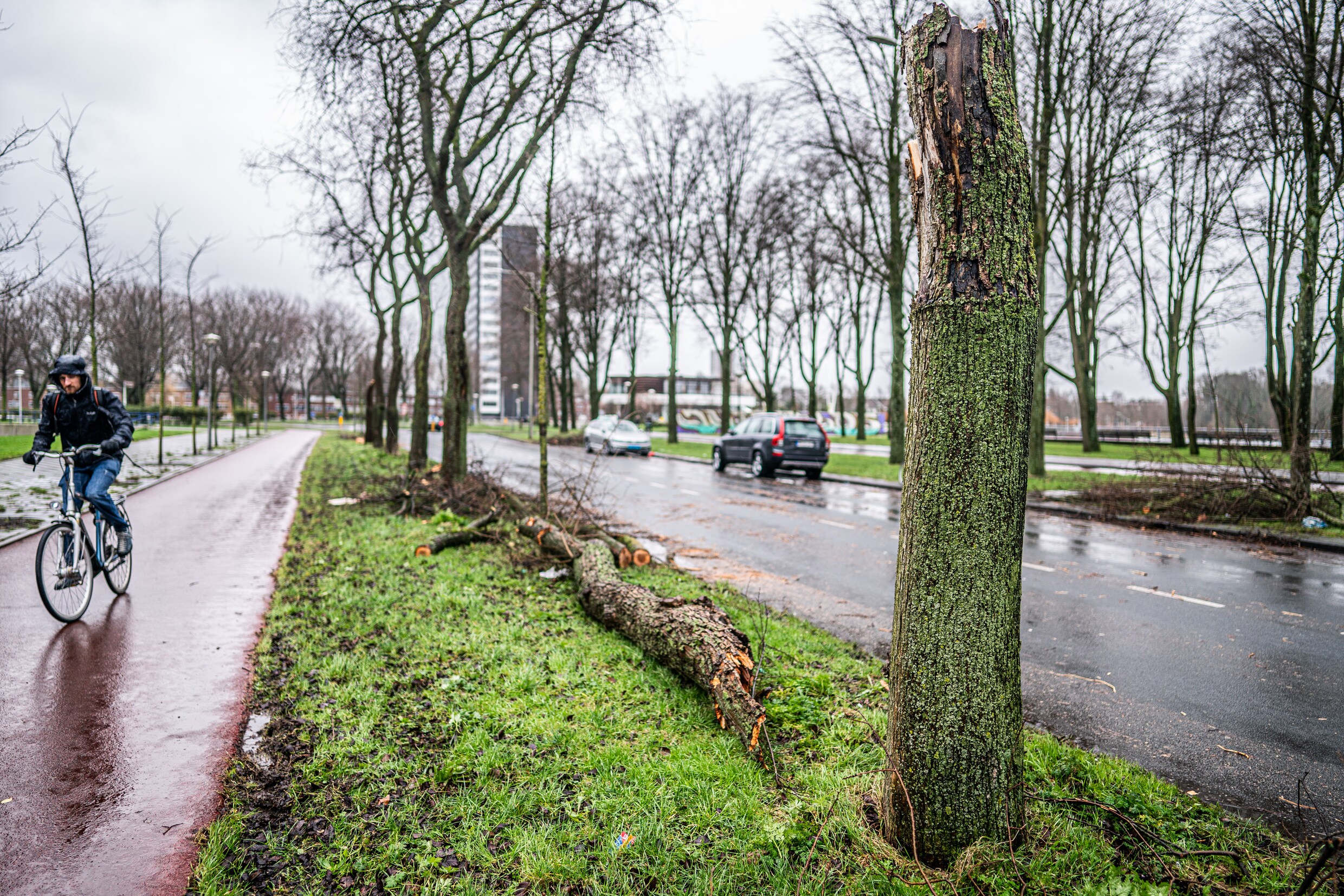 Live | Storm Corrie: tot vanavond zeer zware windstoten verwacht | Het Parool