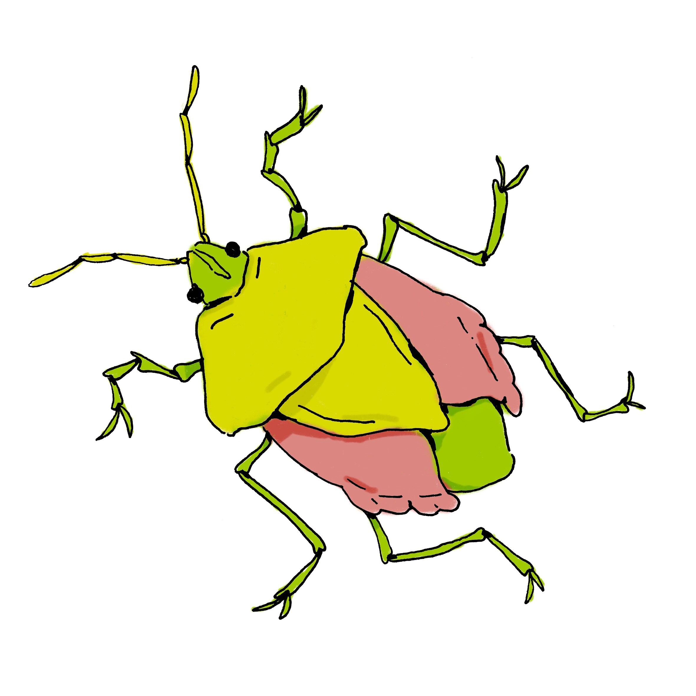 Zo maak je van je tuin of balkon een insectenparadijs – zelfs de ...