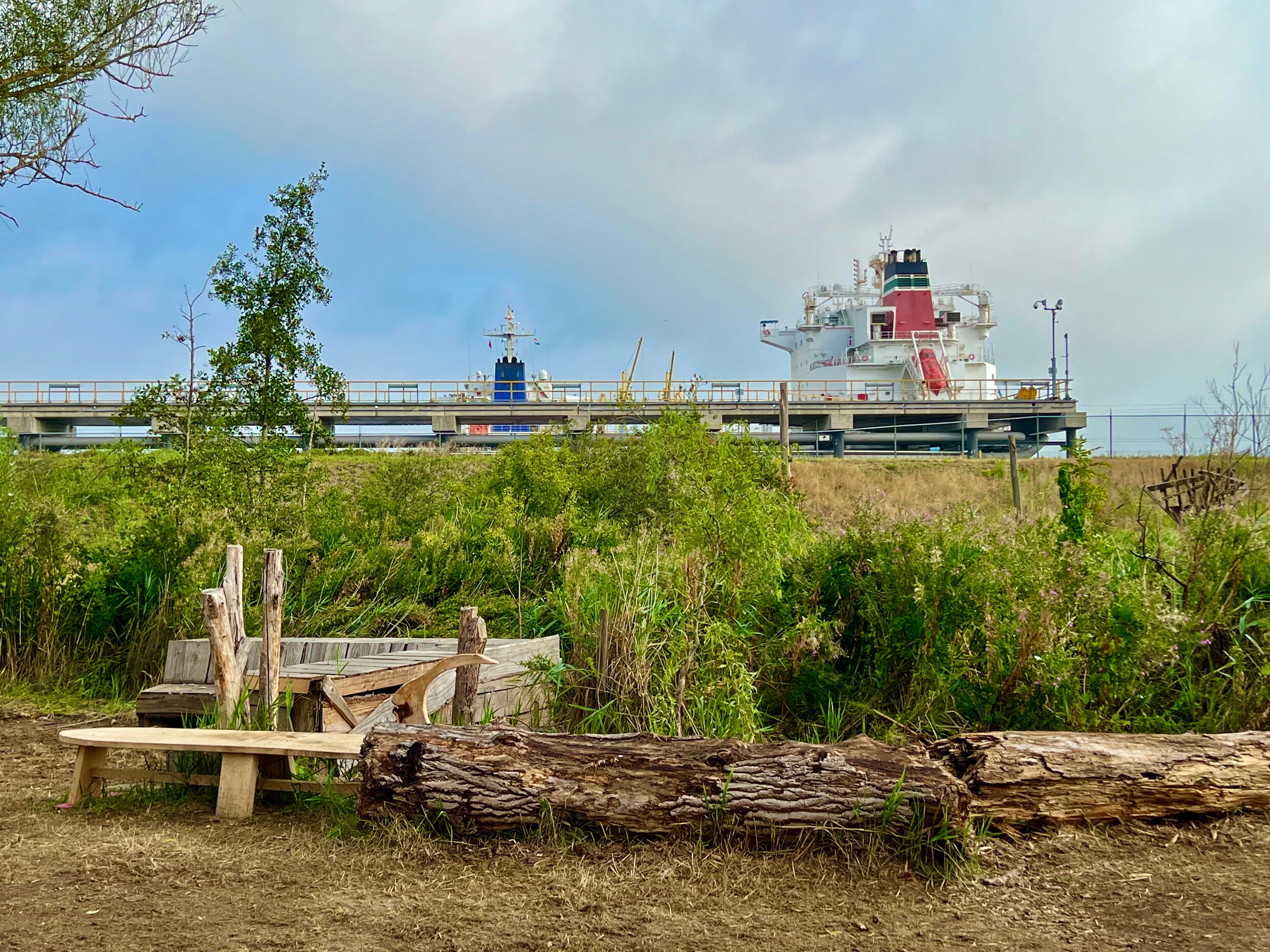 Wandelen langs de haven in Ruigoord | Het Parool