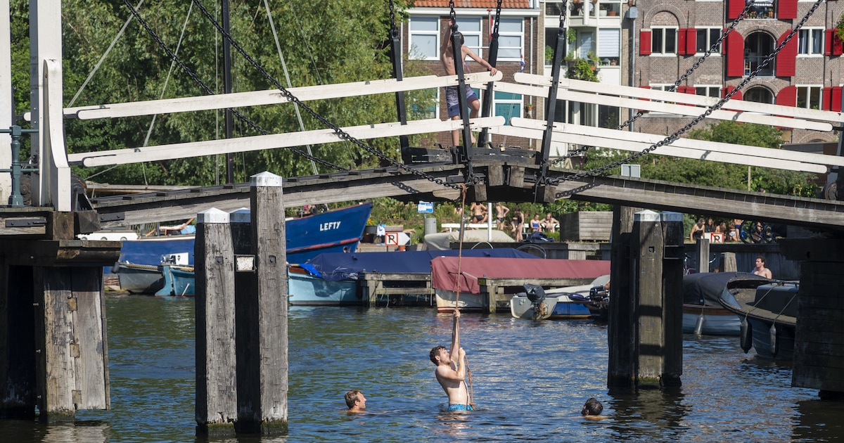 Arseen, kwik, lood en zink: het schoonmaken van het vergiftigde slib ...