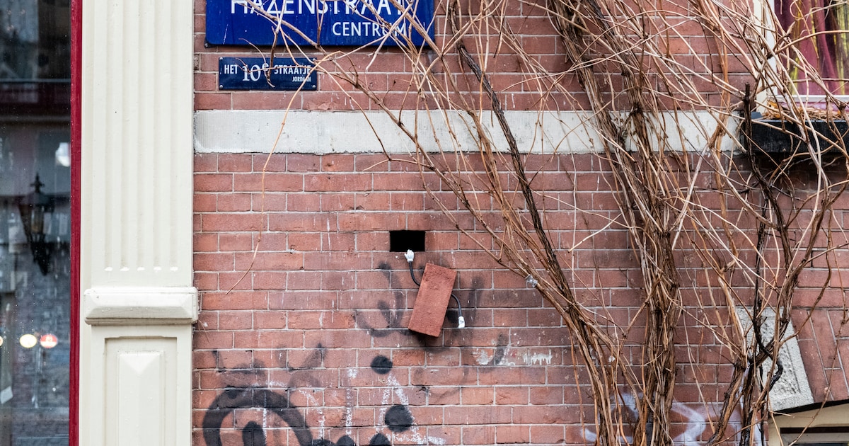 De 10 leukste kunstwerken van Streetart Frankey die (op dit moment) te ...