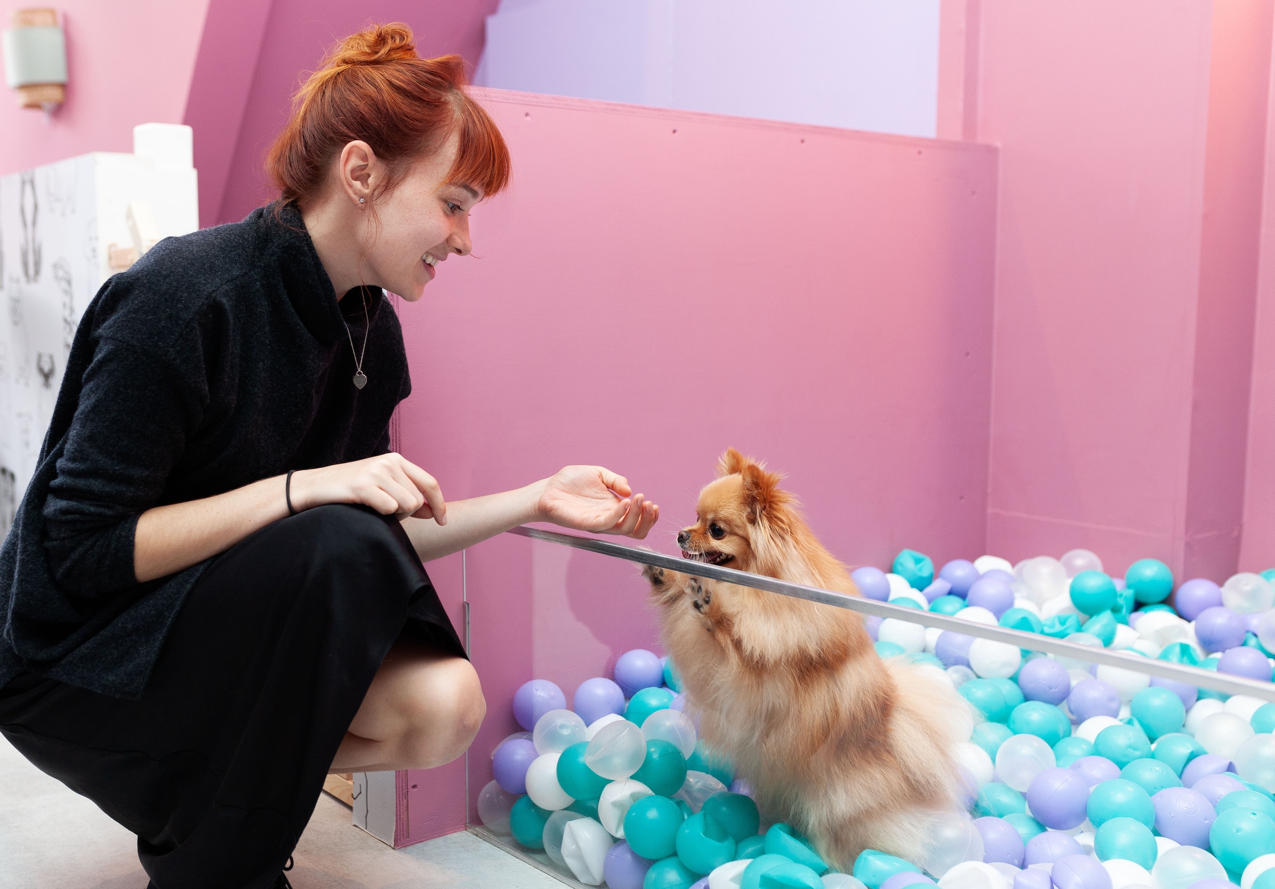 Je hond een dognut, jij een donut bij hondencafé Woof & Me in De Pijp ...