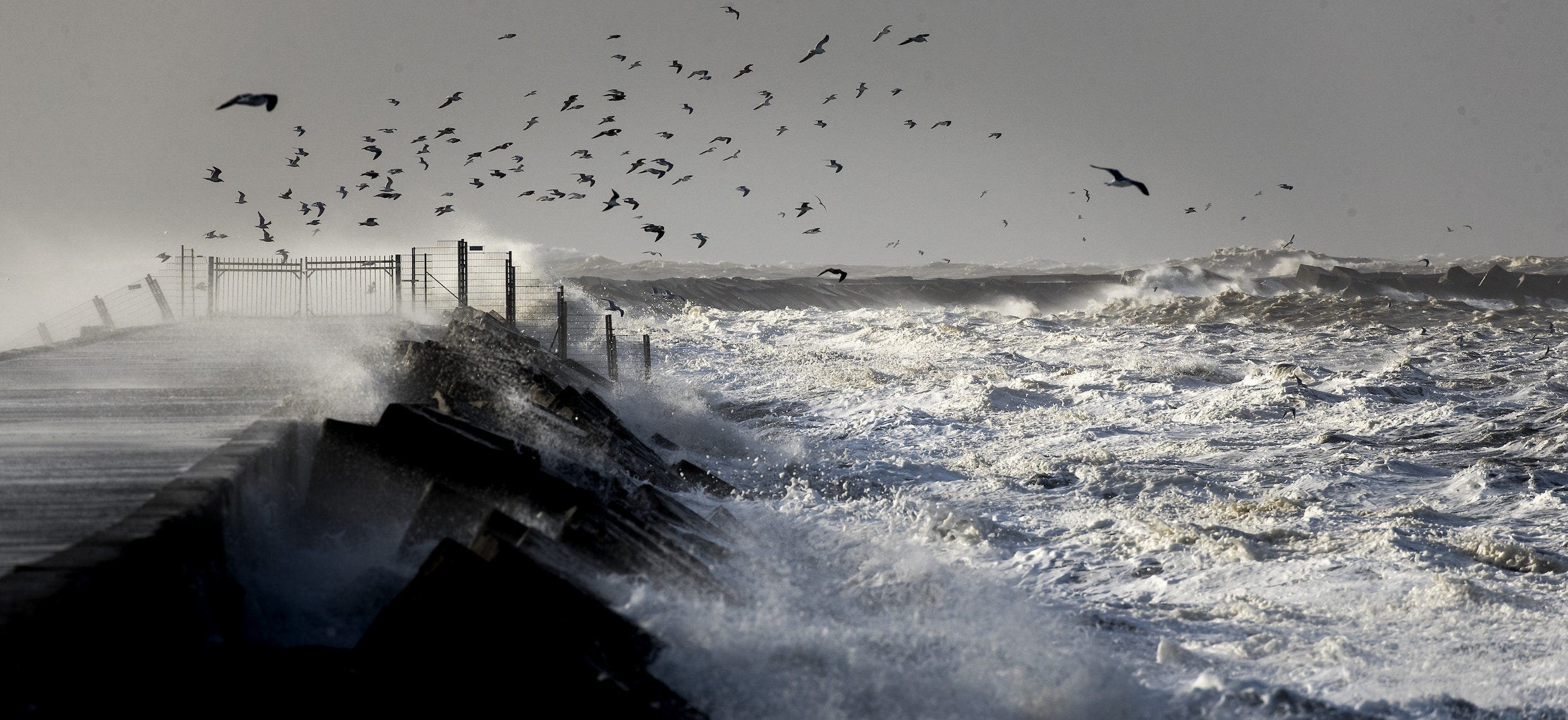 Code geel voor kustprovincies om harde wind | Het Parool