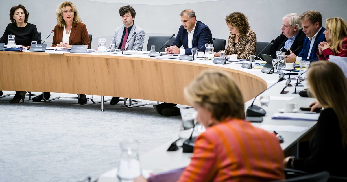 Bergkamp wil Kameruitspraak om omstreden onderzoek Arib voort te zetten ...