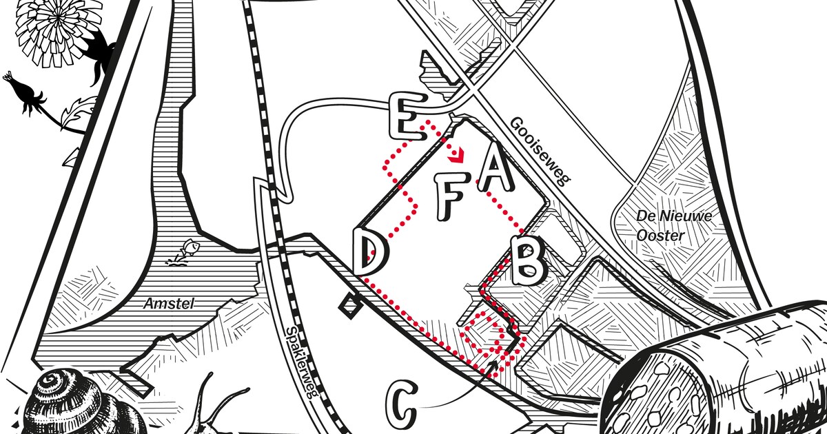 Op naar de Turkse lekkernijen en sportvelden in Amsteldorp | Het Parool