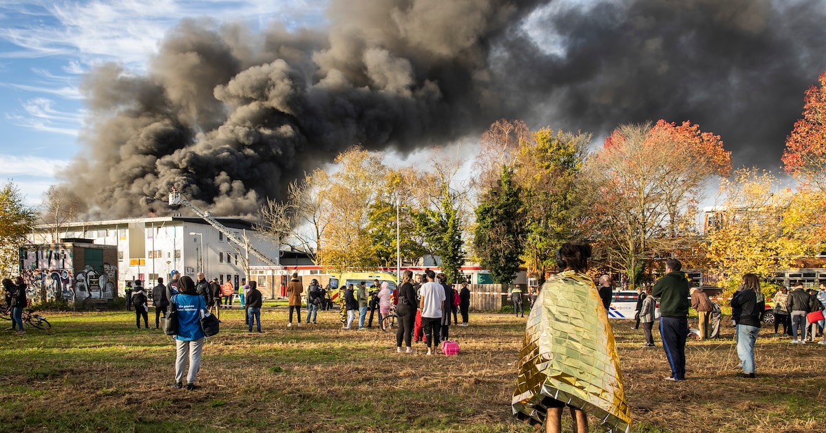 Dit weten we tot nu toe over de brand in Riekerhaven in Amsterdam-Nieuw-West | Het Parool