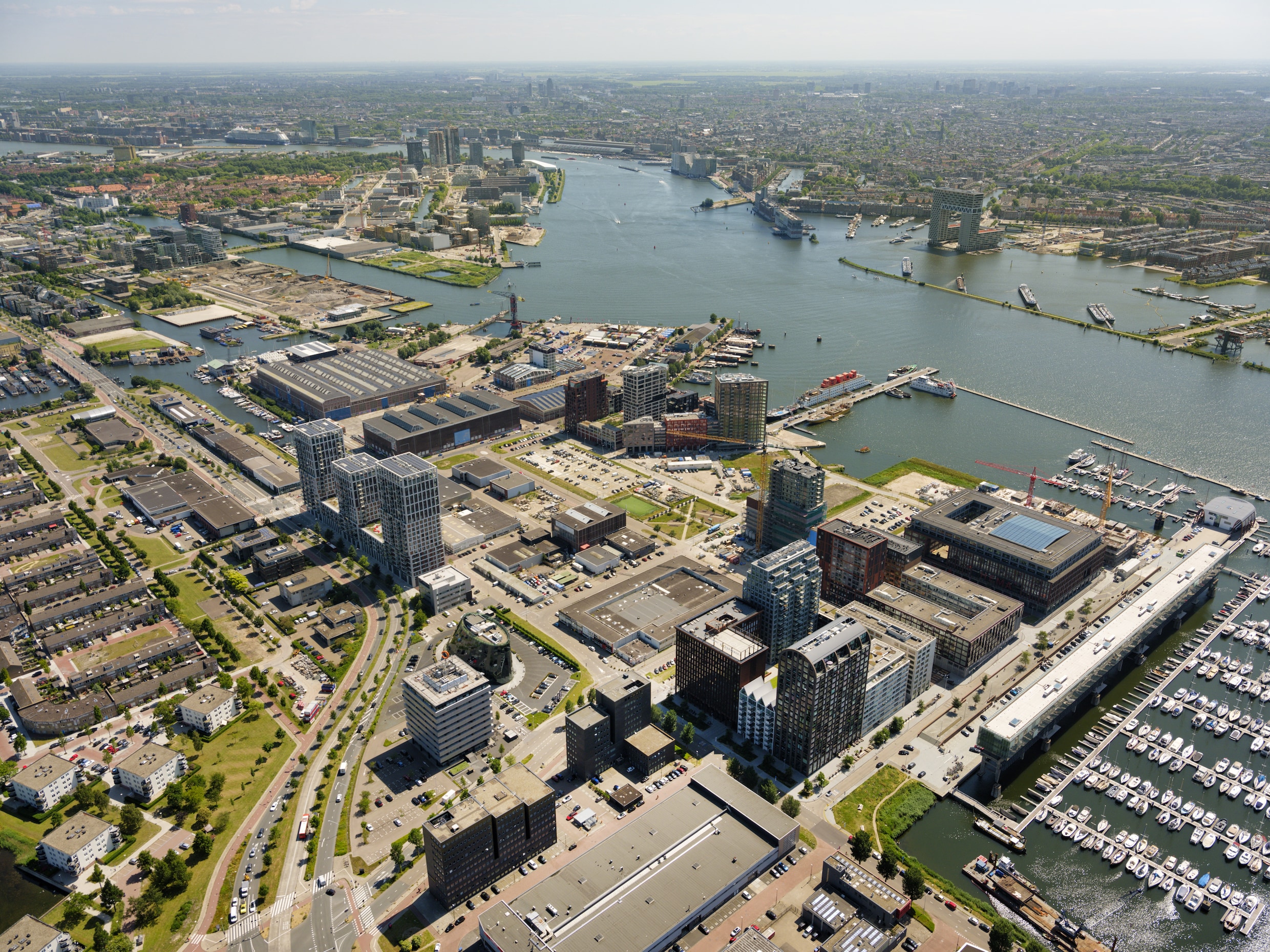 Opinie: ‘Ik vrees voor een ontzielde stad waar de stadsnatuur vogelvrij ...