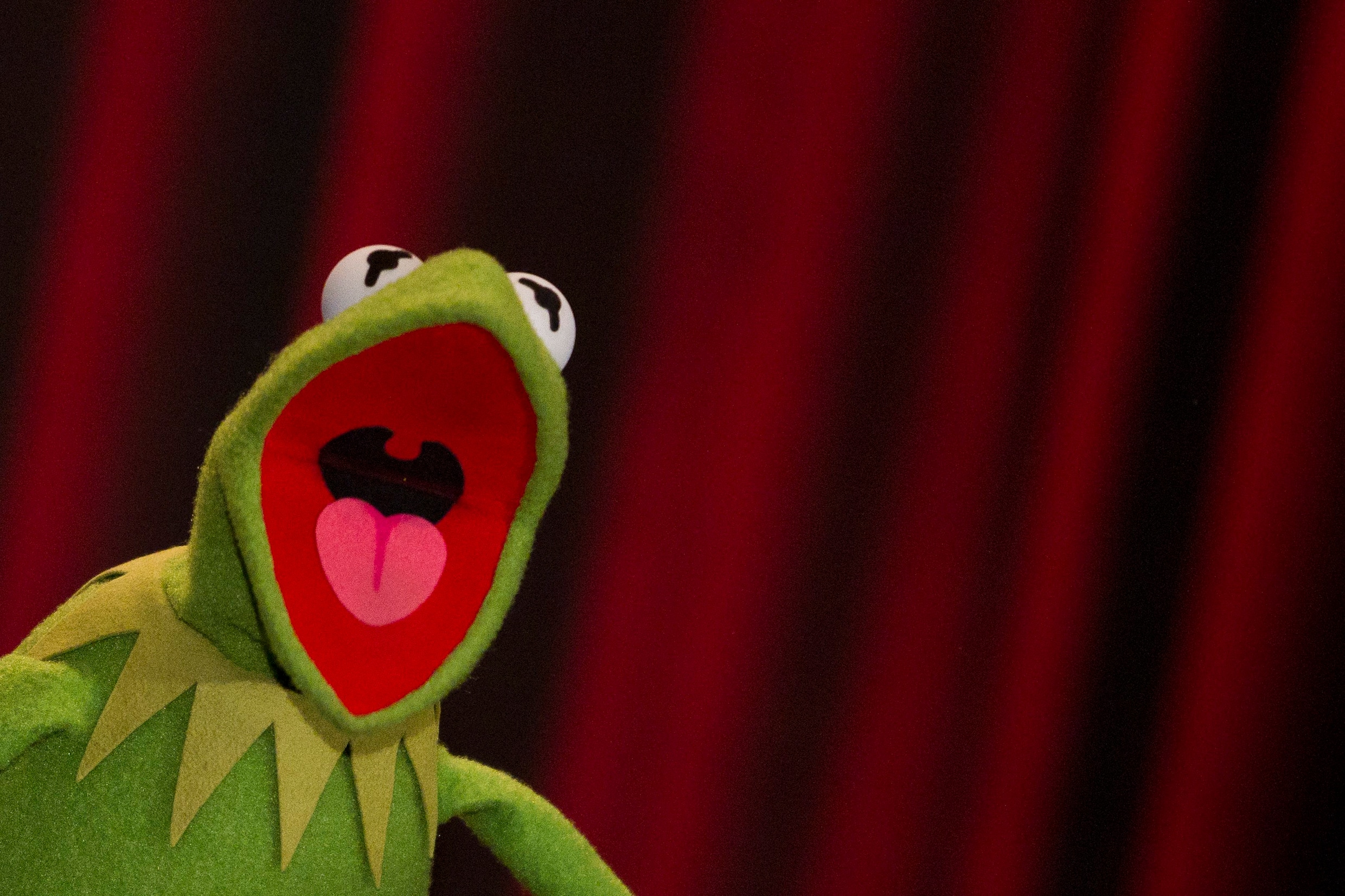 Courtney Love: Muppets hebben Kurt Cobain verkracht | Het Parool