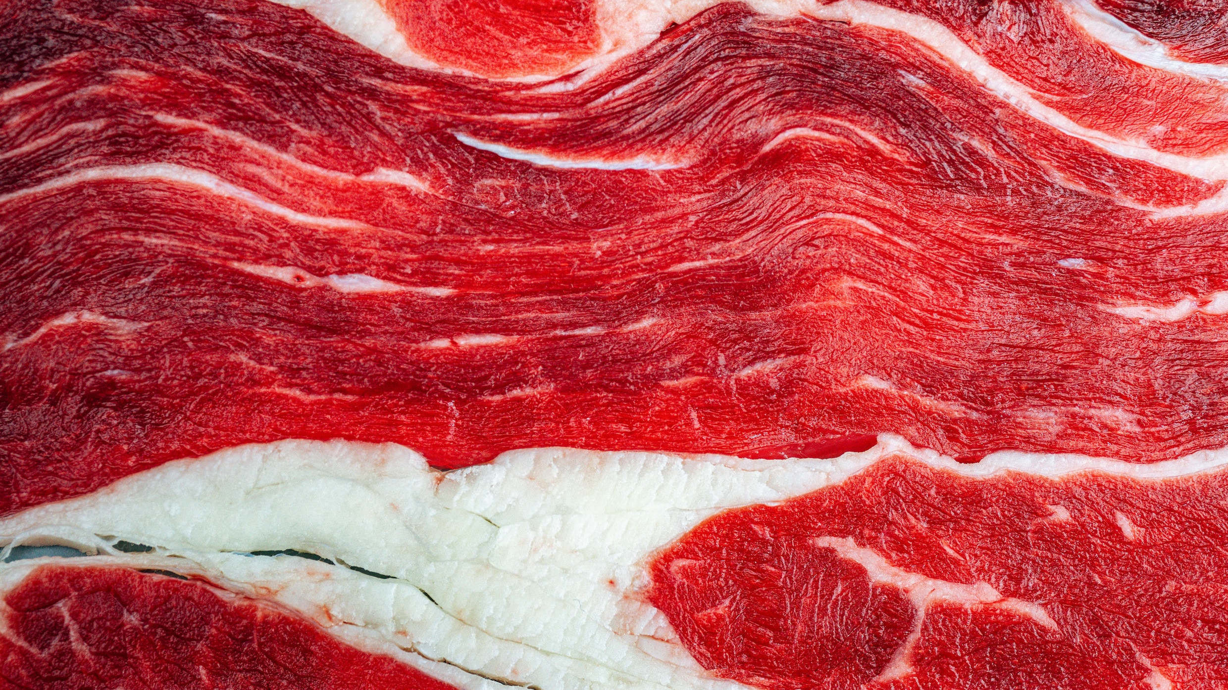 Kweekvlees komt eraan: zonder schuldgevoel vlees eten van een koe die ...