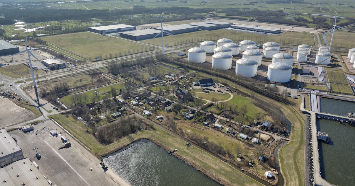 Jubileumjaar voor kunstenaarsdorp Ruigoord, maar hoe lang mag er nog ...