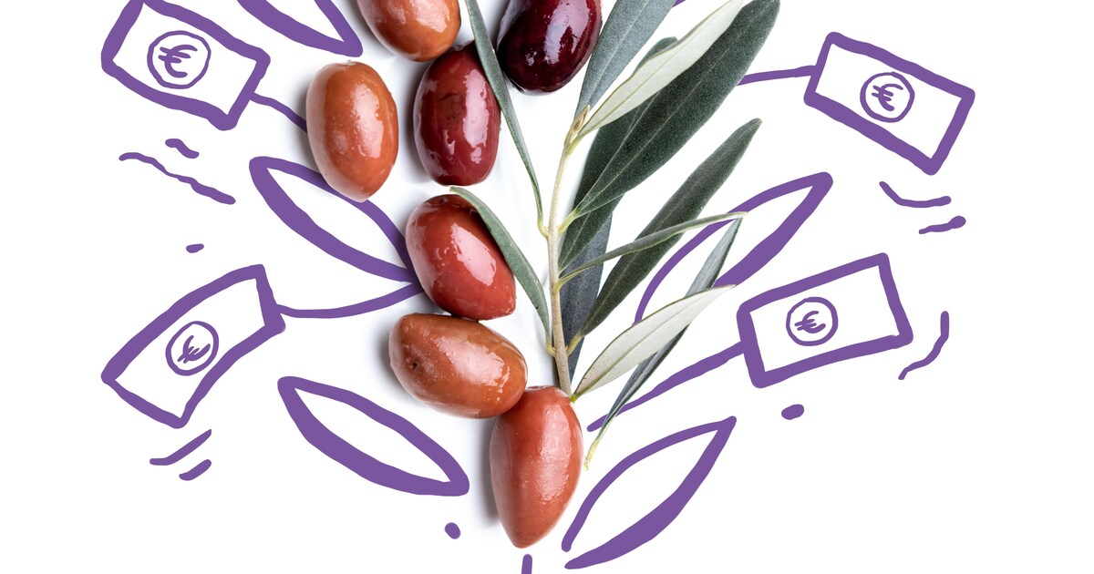 Fons vraagt zich af: waarom betaal je meer voor olijven met pit? | Het ...