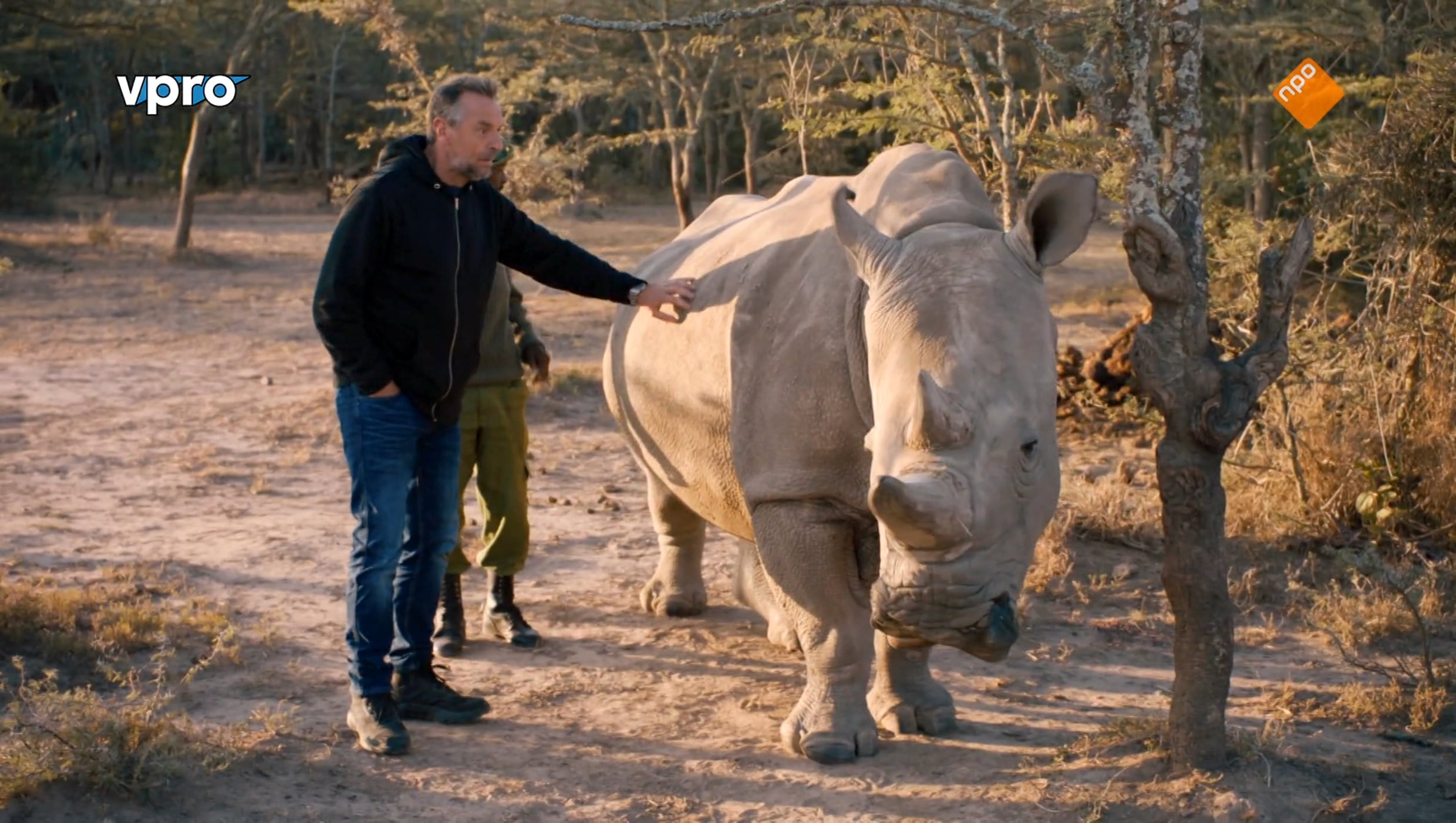Reizen Waes gaat ten onder in het fenomenale buitenlandaanbod van de ...