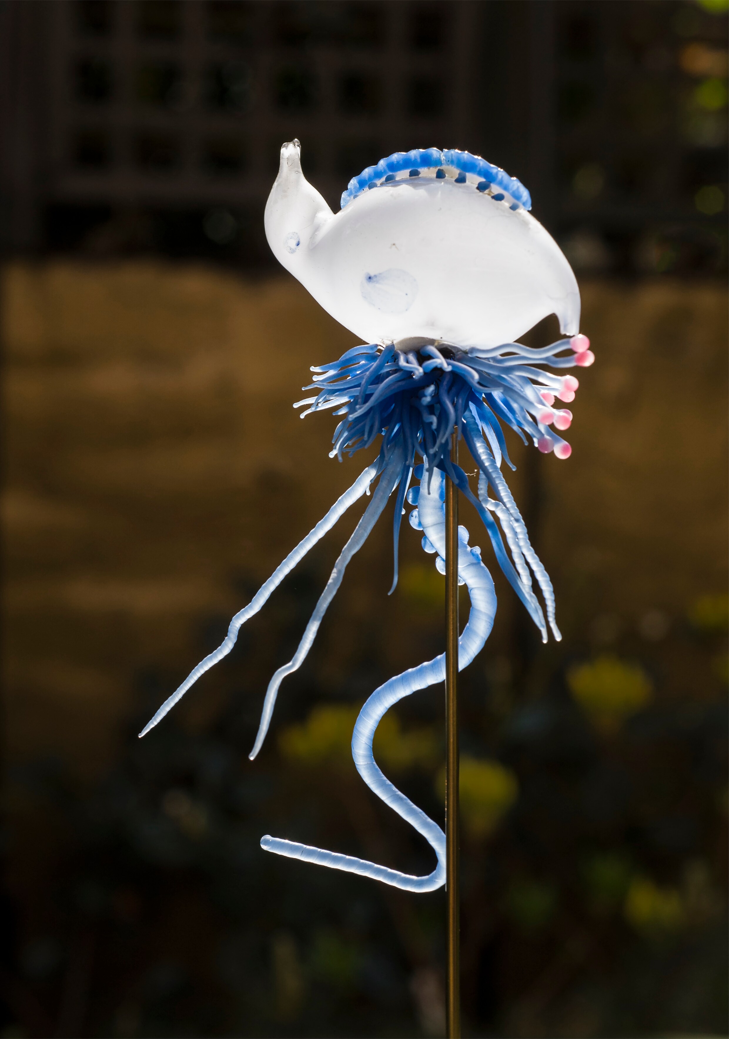 Recensie Surreal Science: Teylers Museum toont intrigerende grabbelton ...