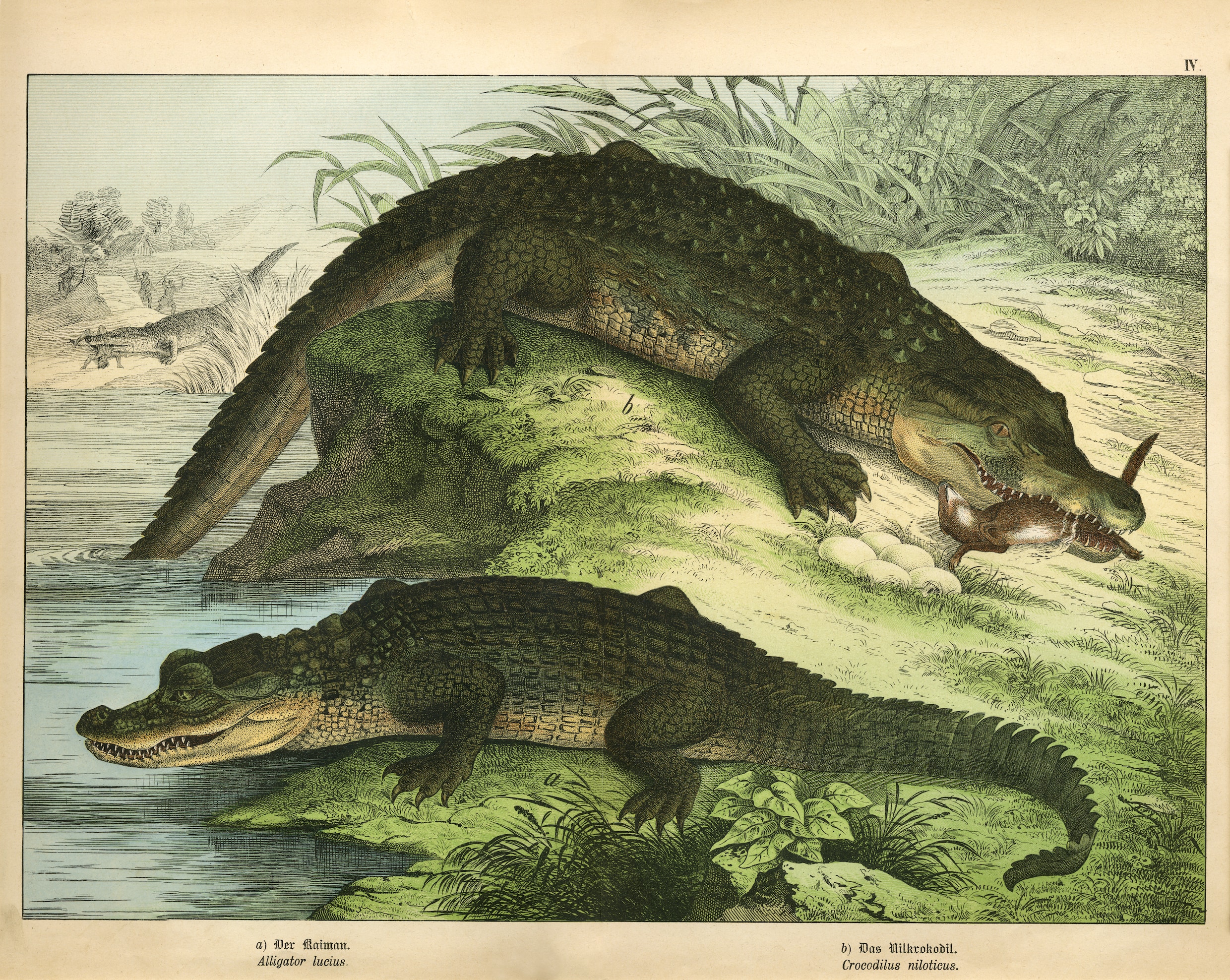 In de mythische verhalen van Paul Lomami Tshibamba zijn kwade krachten ...