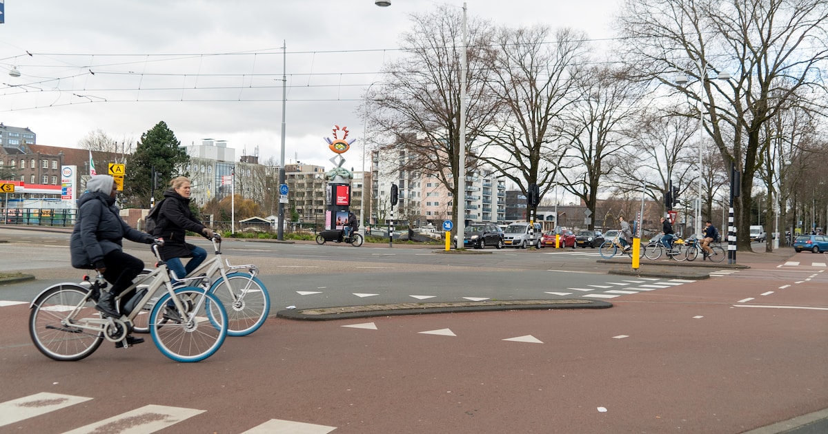 Drie haaientanden zouden voldoende zijn om veel ergernis te voorkomen ...