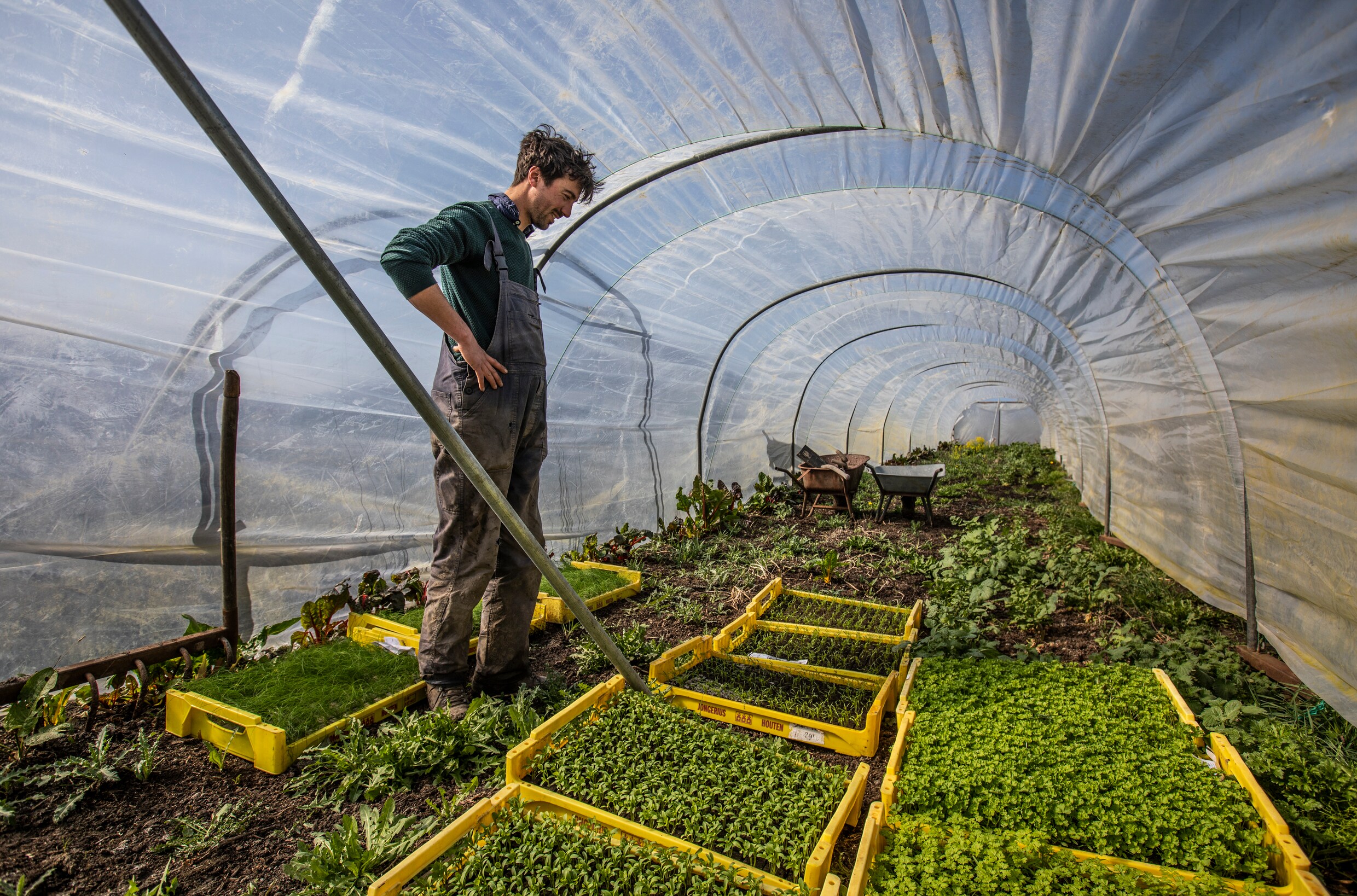 Deze Amsterdamse chefs vinden dat ze het beste wegrestaurant van Nederland hebben: ‘Een ...