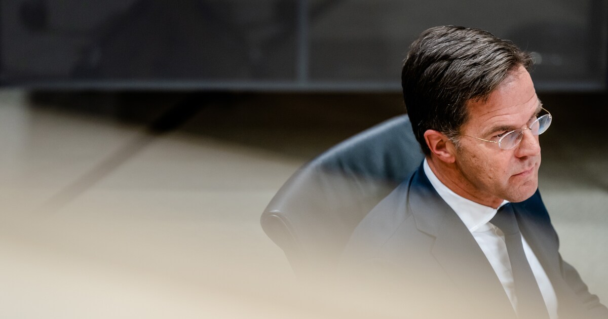 Raad van State: kabinet en Kamer moeten ook durven kiezen om iets níét ...