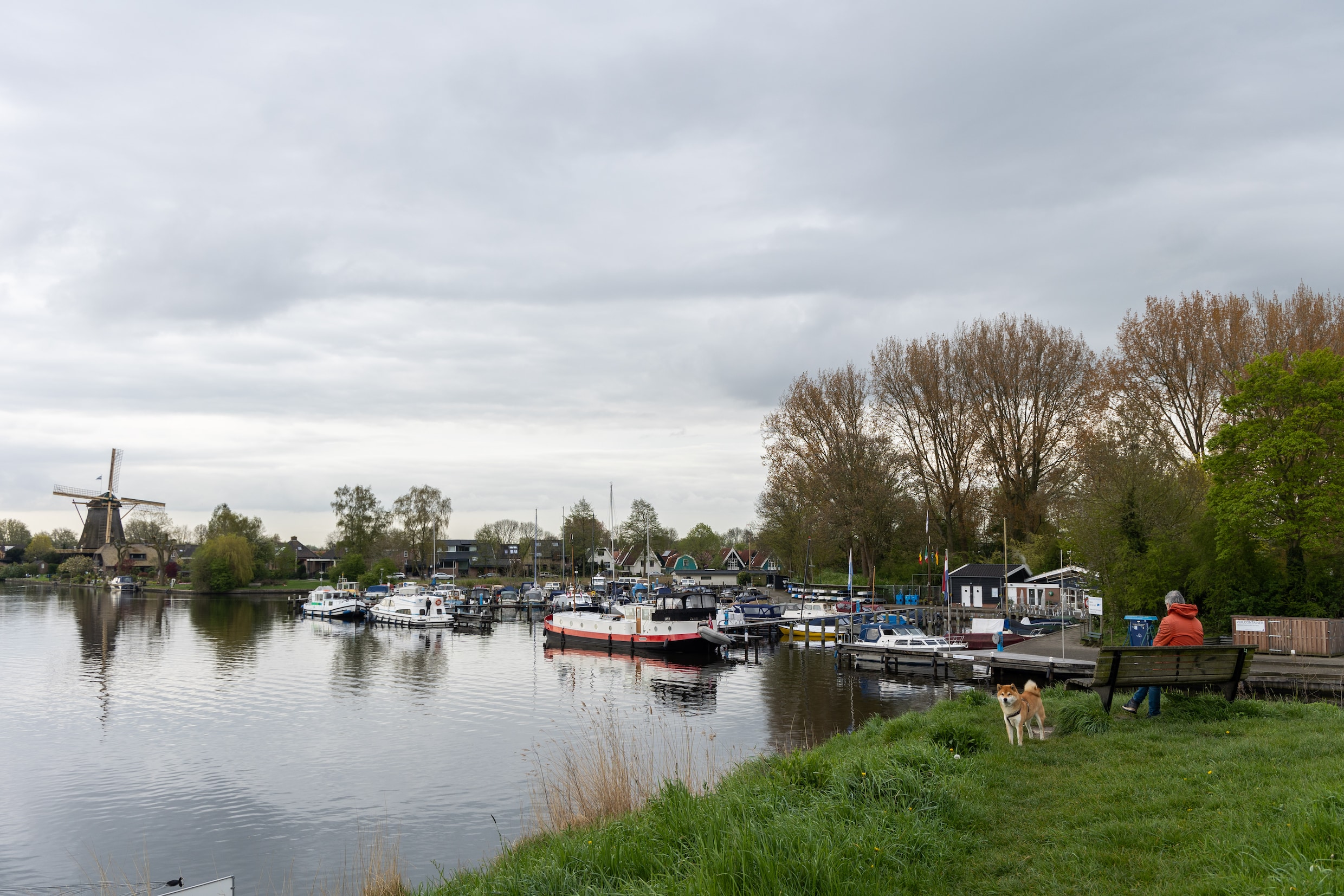 7 gratis uitkijkpunten voor het mooiste uitzicht over de stad | Het Parool