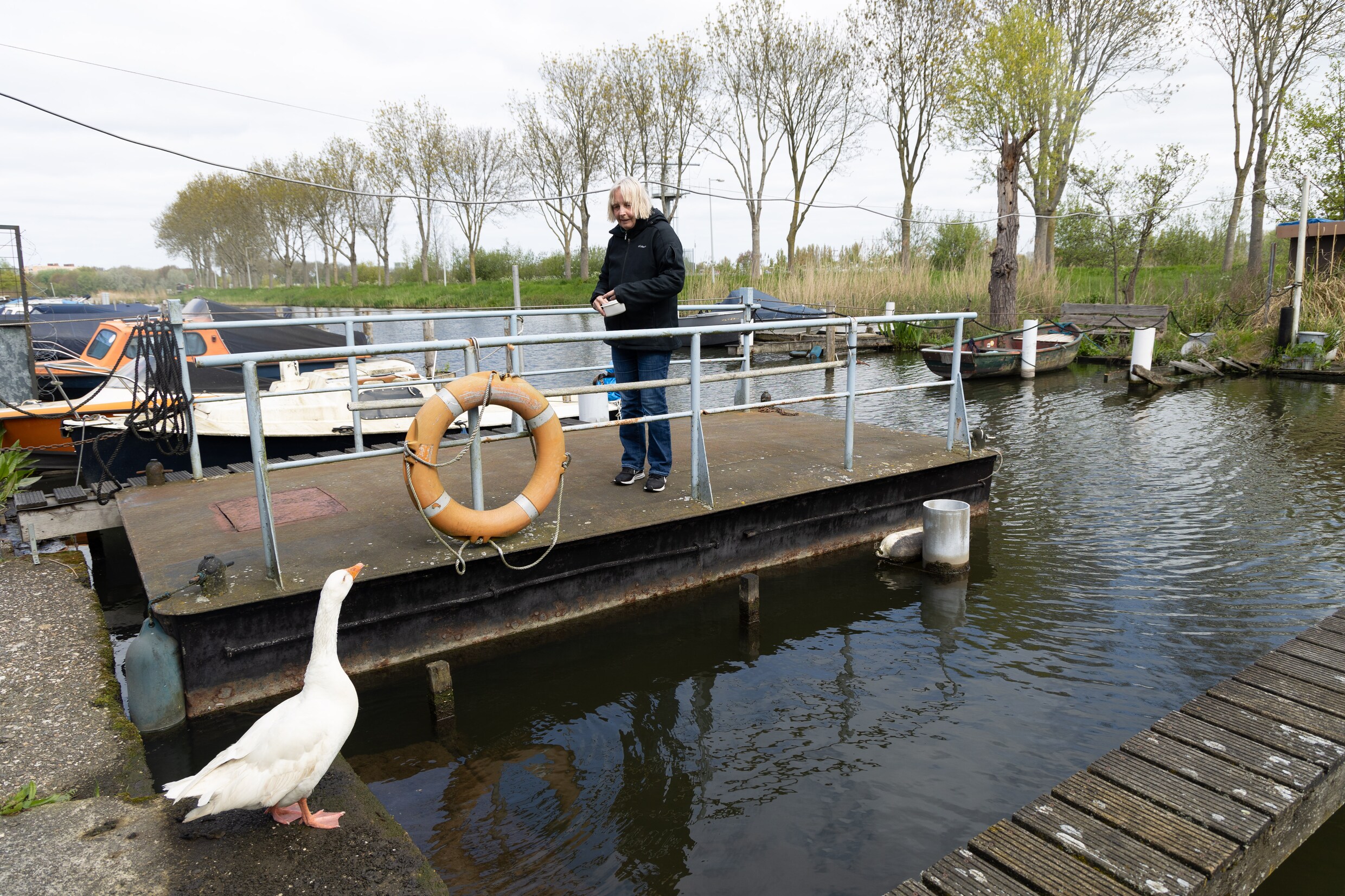 Ken je het 5-centen trekpontje al? Vijf verrassend leuke ...