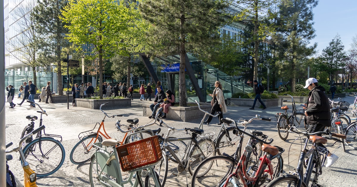 Vorig jaar voor 700 miljoen euro aan fietsen gestolen: ‘Een perfect ...