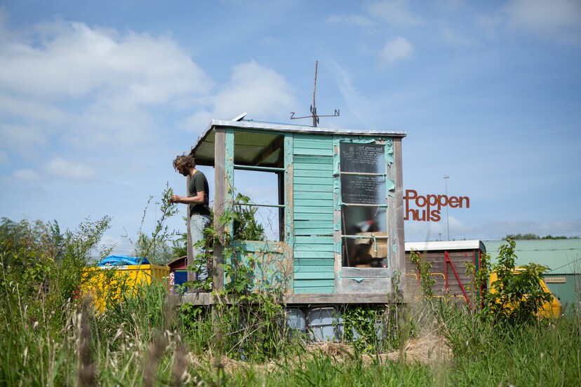 Amsterdamse ‘vlinderman’ Nicky (35) kraakt veldjes voor de vlinders ...