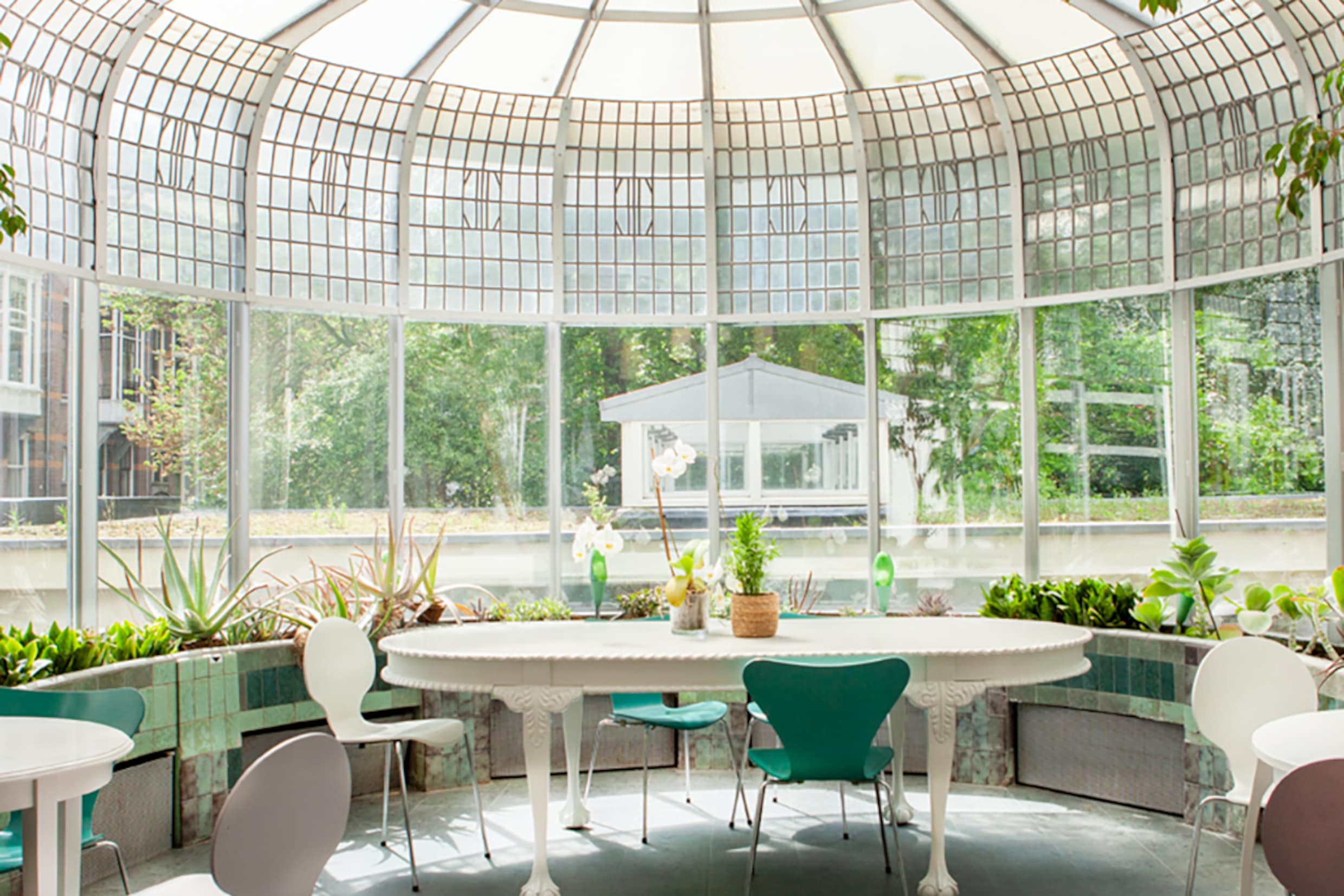 De weekendtip van Harmen van Liemt: ‘Theehuis De Roos is een heerlijke ...