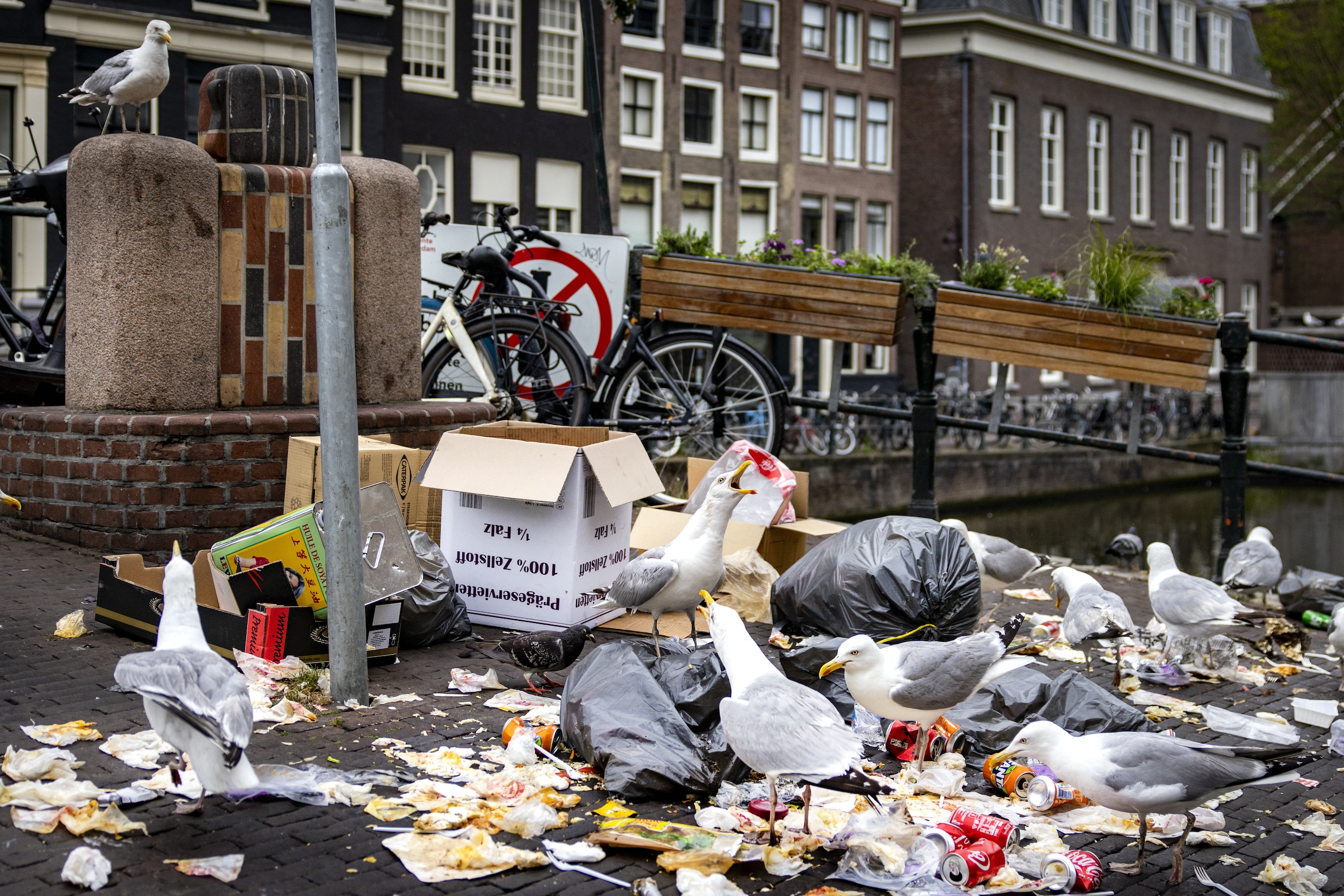 Zwerfafval blijft groot probleem in Amsterdam, met name in binnenstad ...