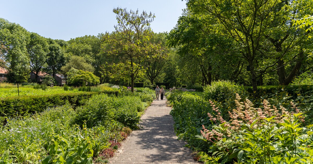 6x de mooiste openbare tuinen van Amsterdam: groene oases, bloemen en ...