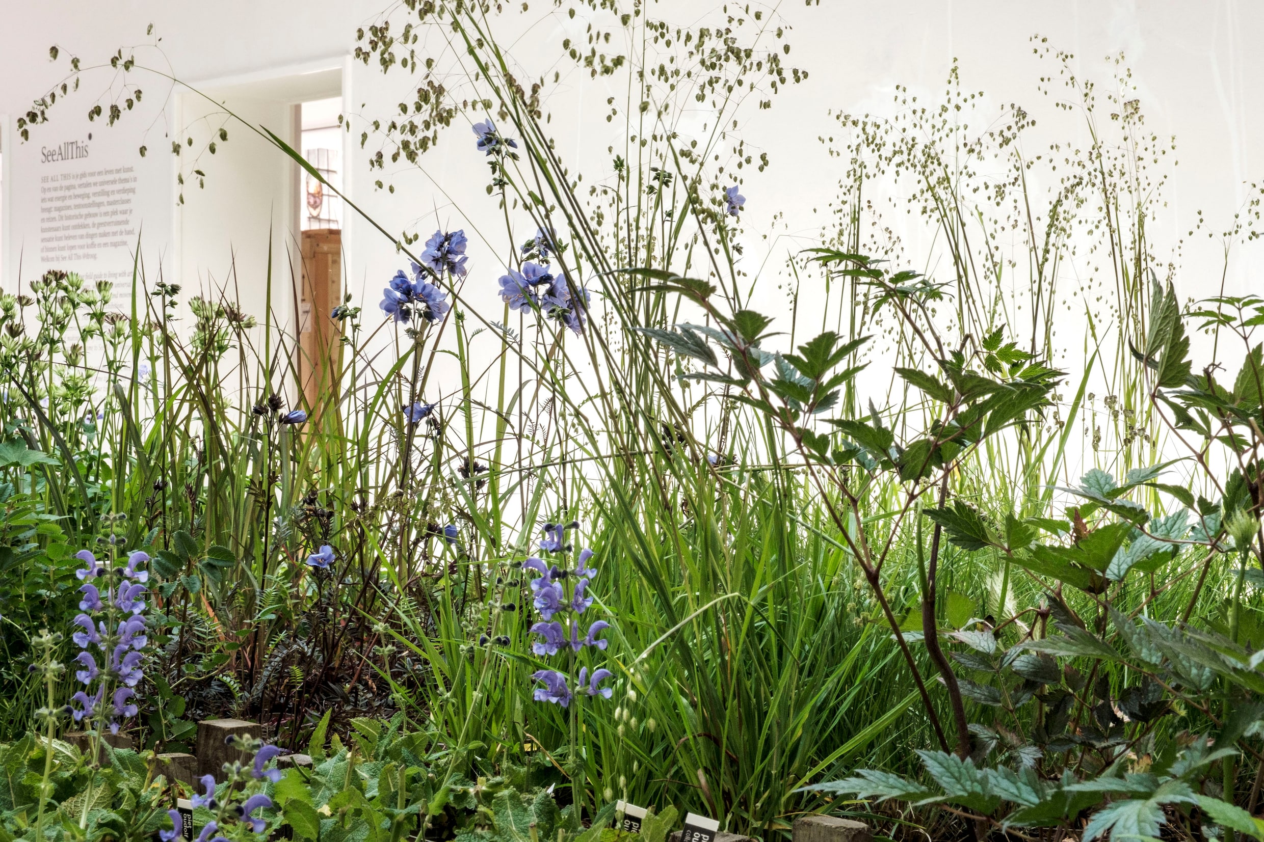 Tuinontwerper Piet Oudolf exposeert in @droog: ‘Een tuin is geen ...