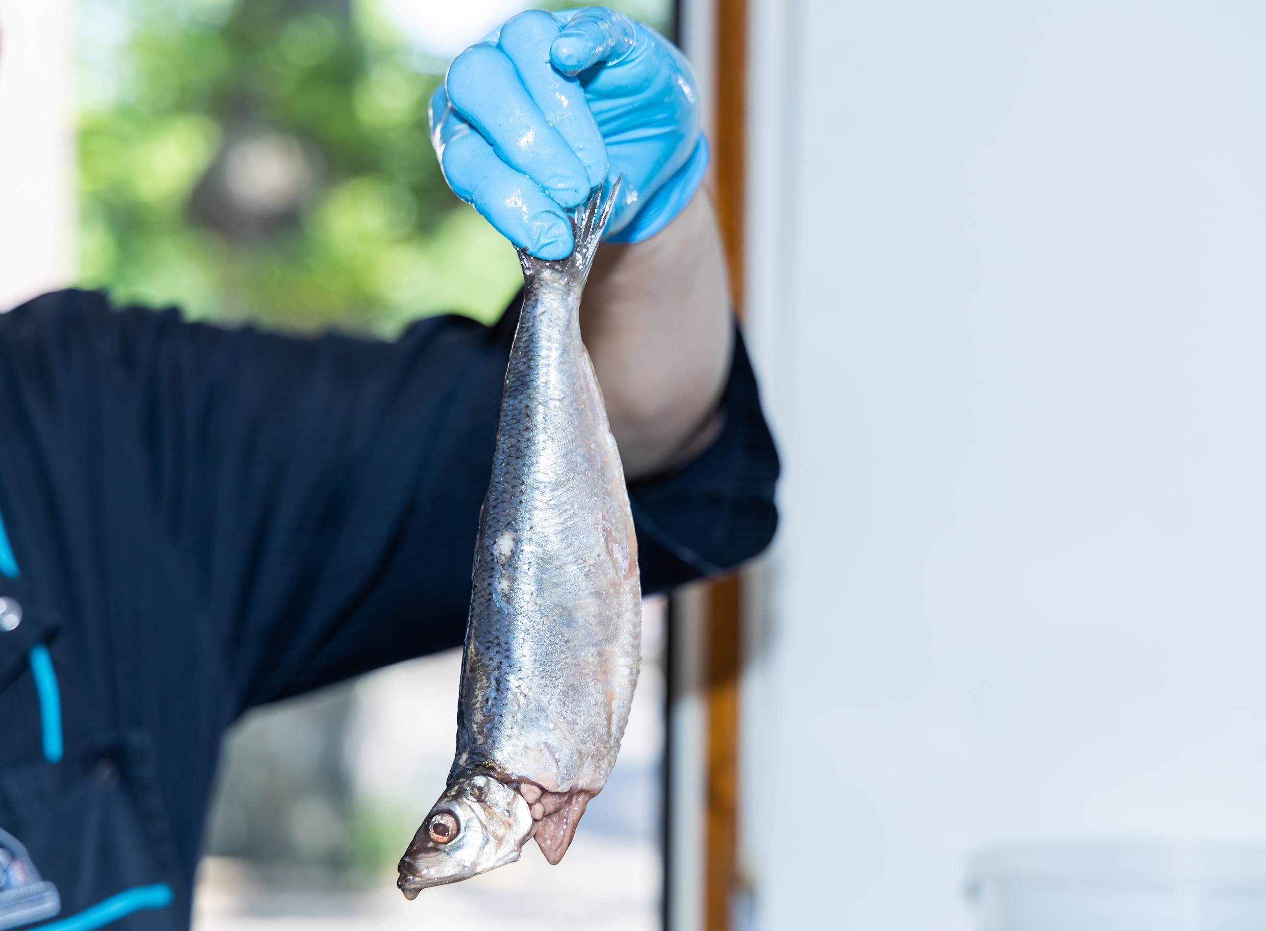 Het haringseizoen is geopend: bij deze 18 kramen kun je een harinkje ...