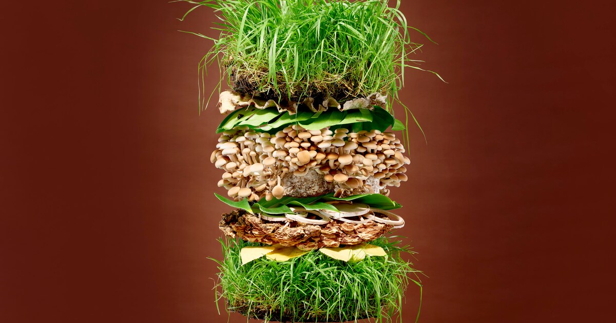 Opinie: Directeur Milieudefensie: ‘Verbied supermarkten met vlees te ...