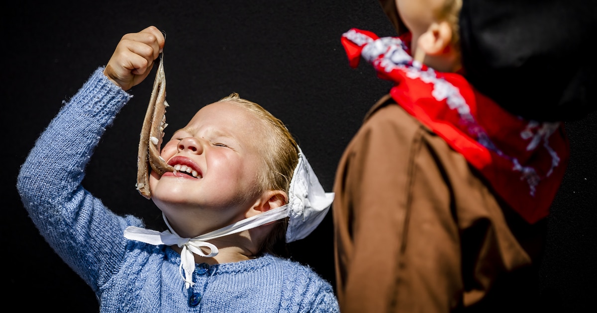 De haring is eindelijk vet genoeg en ligt vanaf vrijdag in de winkel ...