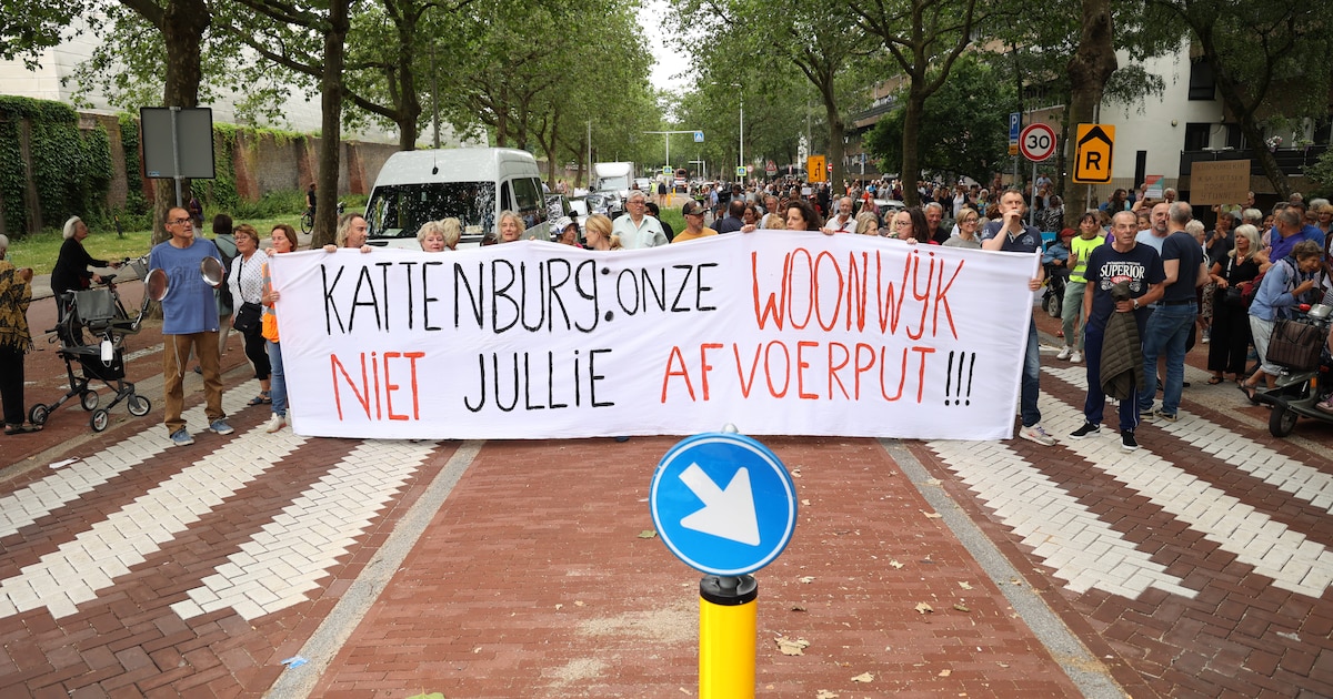 Lawaaiprotest Kattenburg: ‘Ze knippen onze levens door met die knip ...