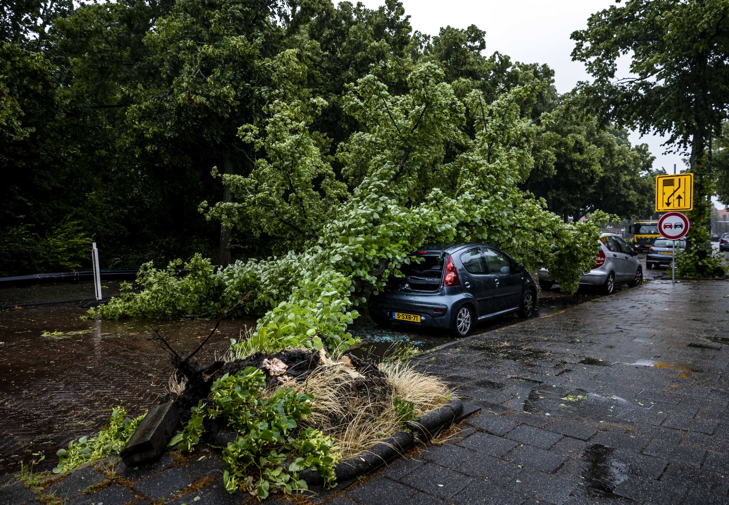 Poly zwaarste zomerstorm ooit: vrouw overleden in Haarlem, meerdere ...