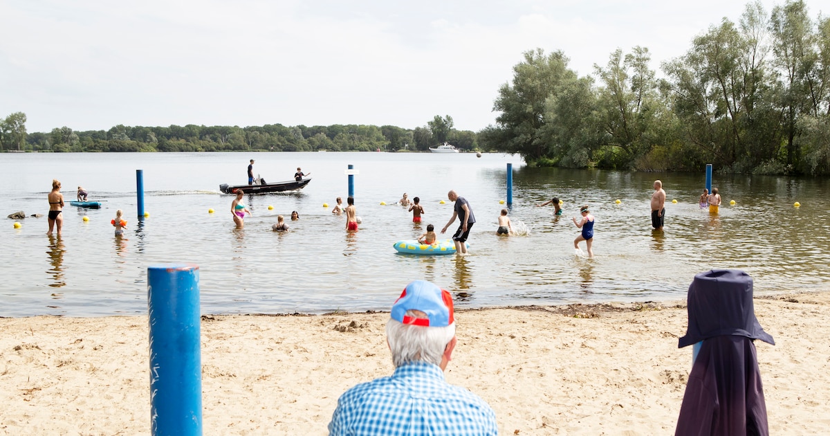 Op de drie strandjes van de Nieuwe Meer is het motto: leven en laten ...