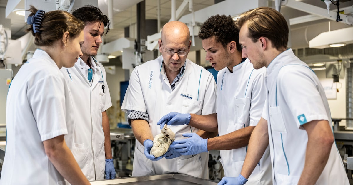 Opleidingen geneeskunde worstelen met wegsturen ongeschikte studenten ...