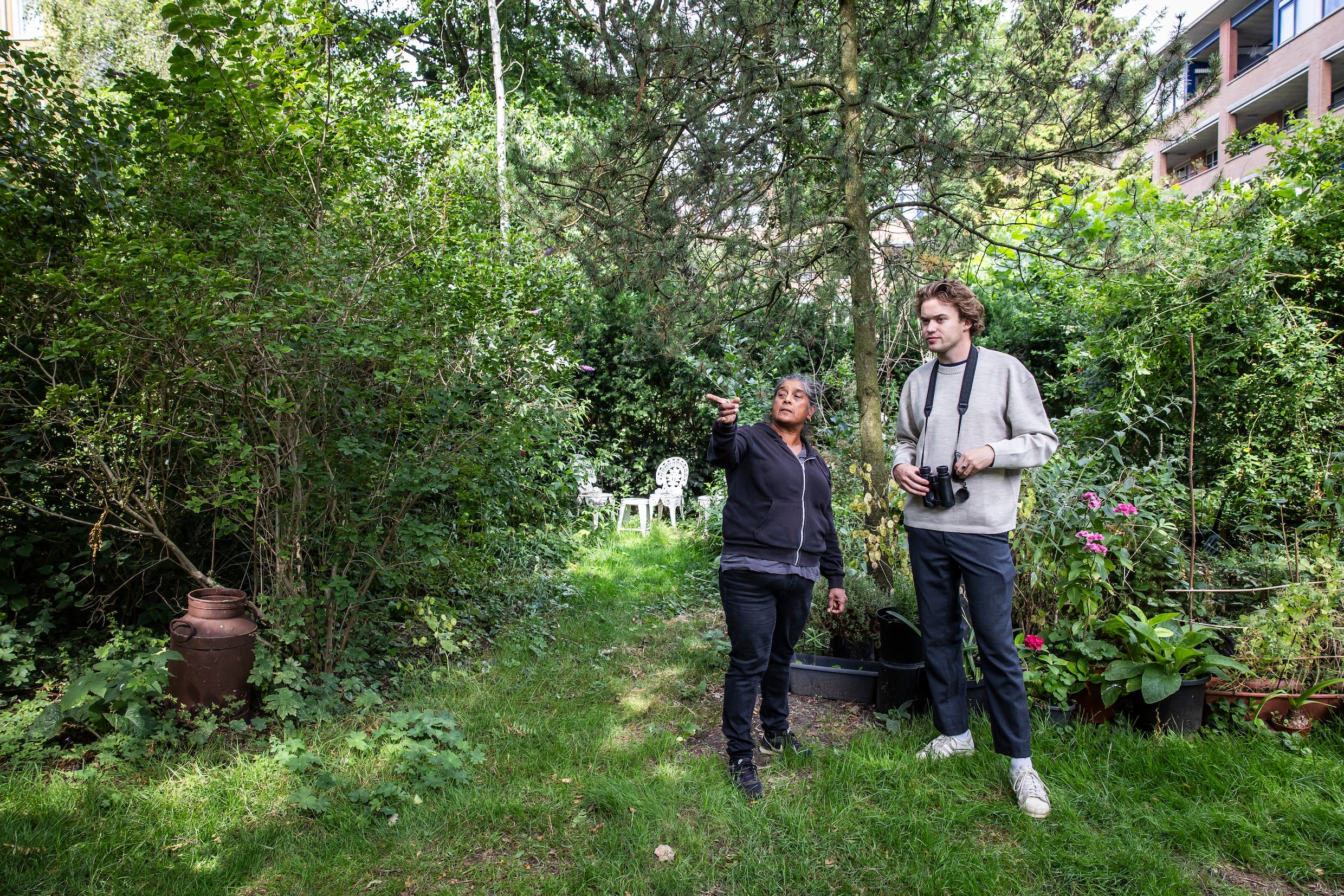 Deze Amsterdamse tuin is een paradijs voor de bedreigde huismus, maar ...