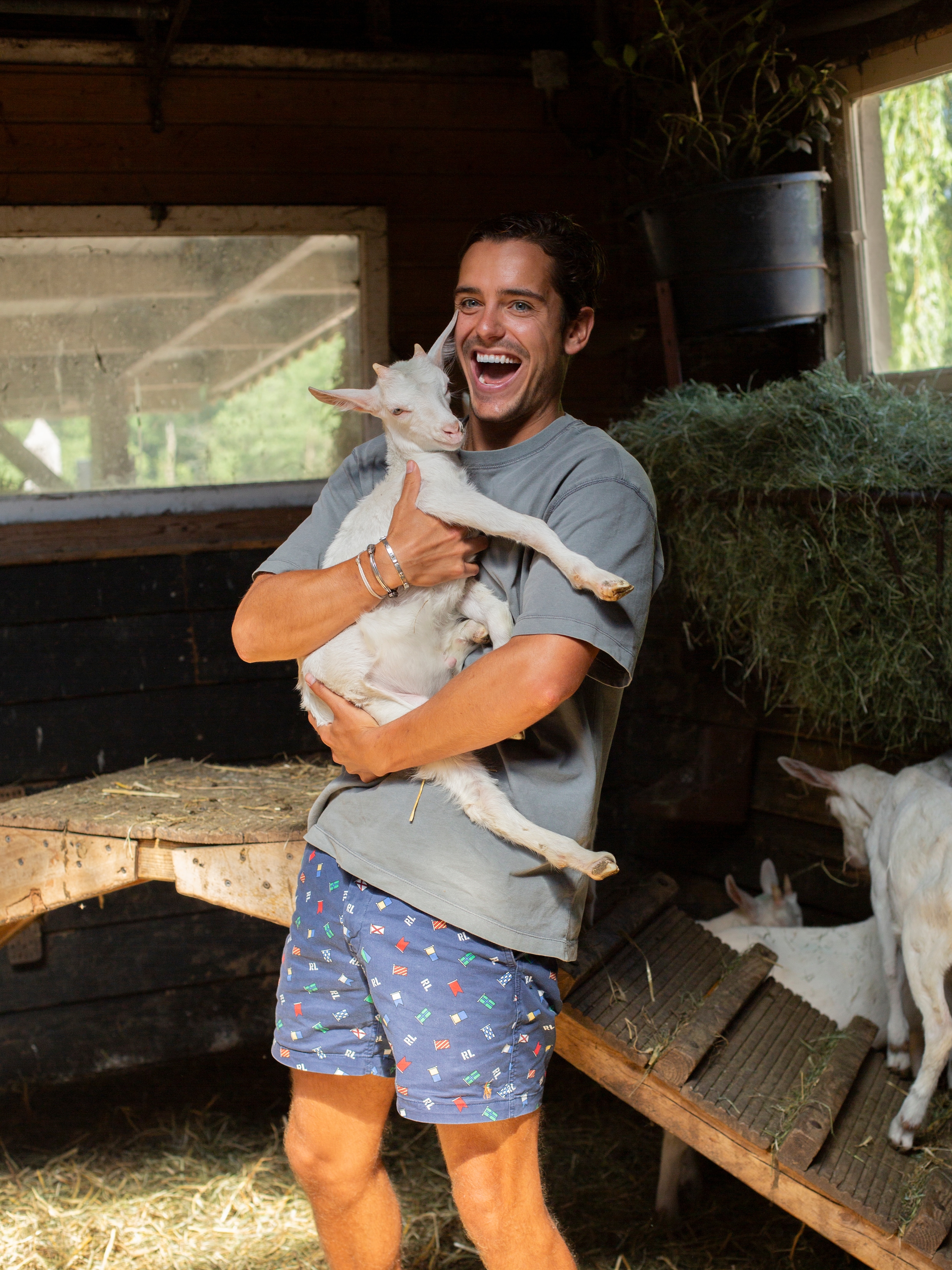 Het Amsterdam van Floris Göbel: ‘De slechtvalk, het snelste dier ter ...