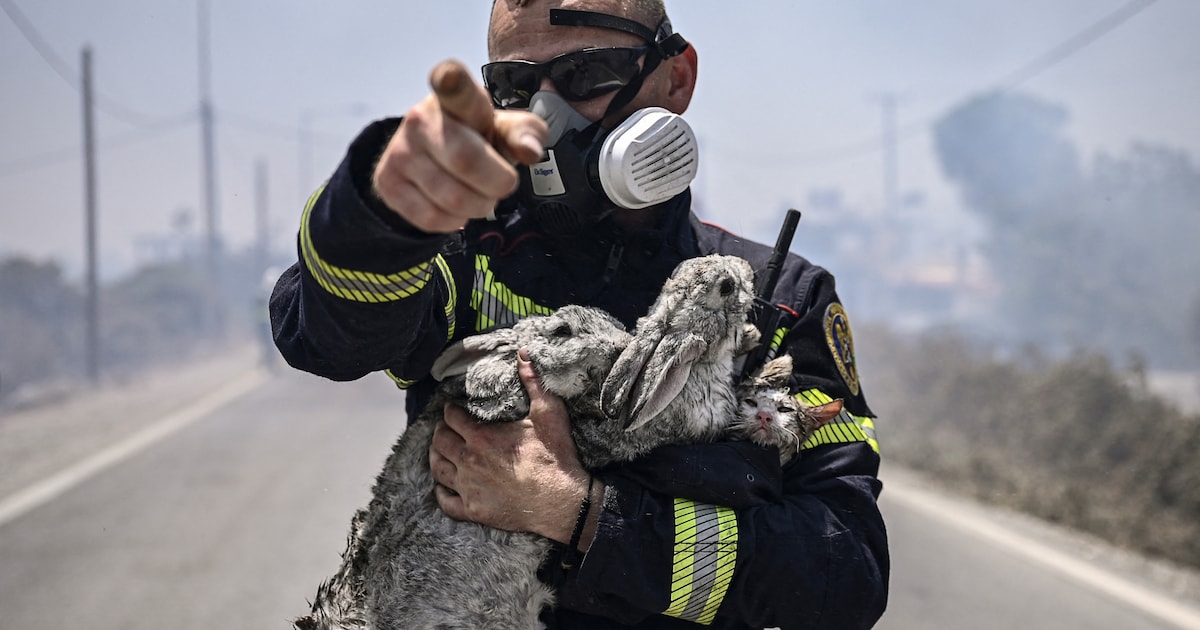 Experts waarschuwen: hittegolven worden nog frequenter en intenser – en ...