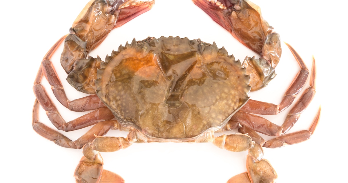 Krab zonder scherven, klassieke paté en 75 recepten voor een gezonder ...