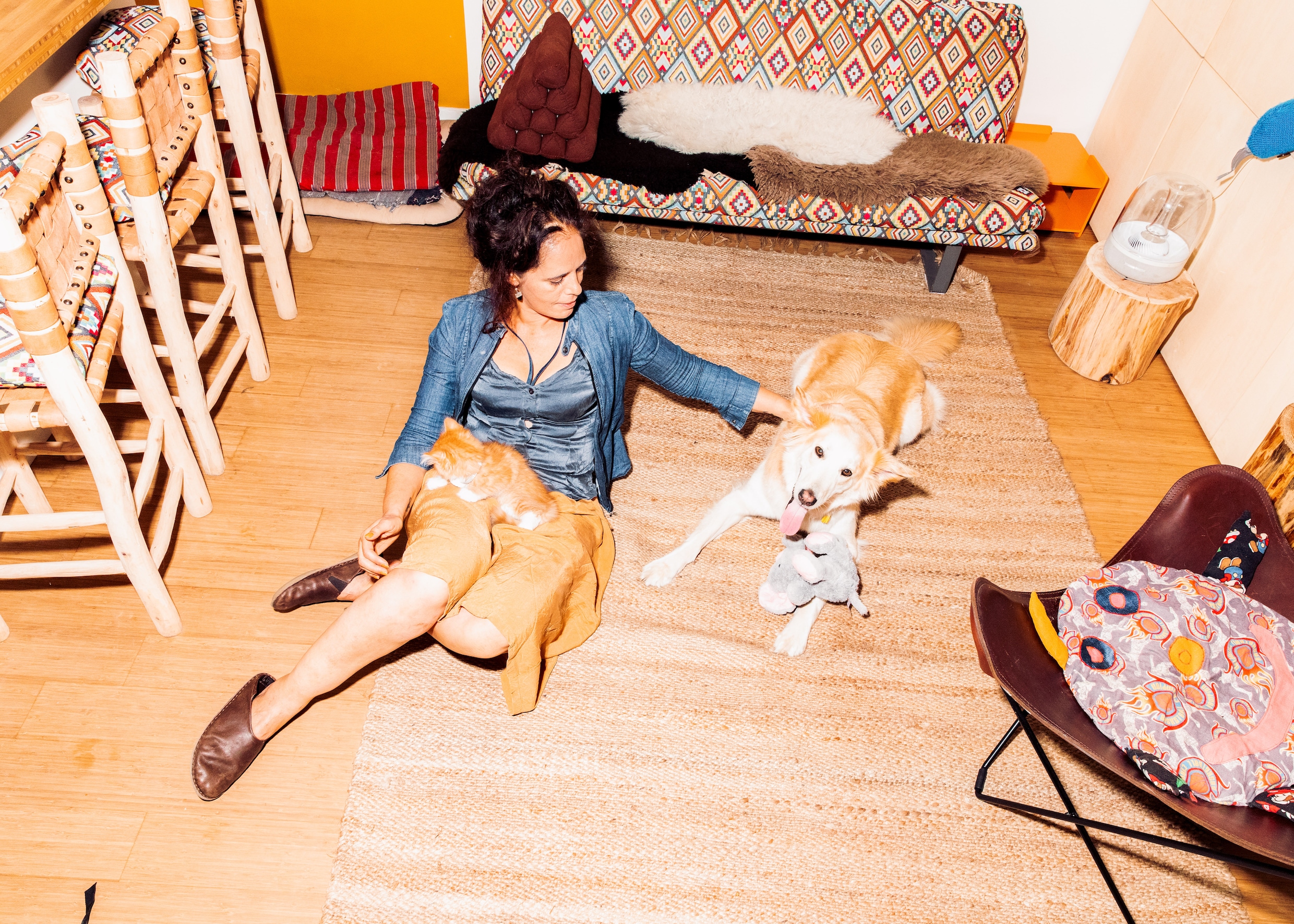 De opkomst van ‘pet sitting’ à la Airbnb: baasje op vakantie, gratis ...