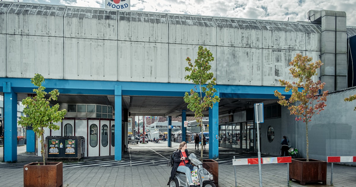 Opinie: ‘Zuidoost krijgt een nieuw Bijlmer Parktheater, Nieuw-West de ...