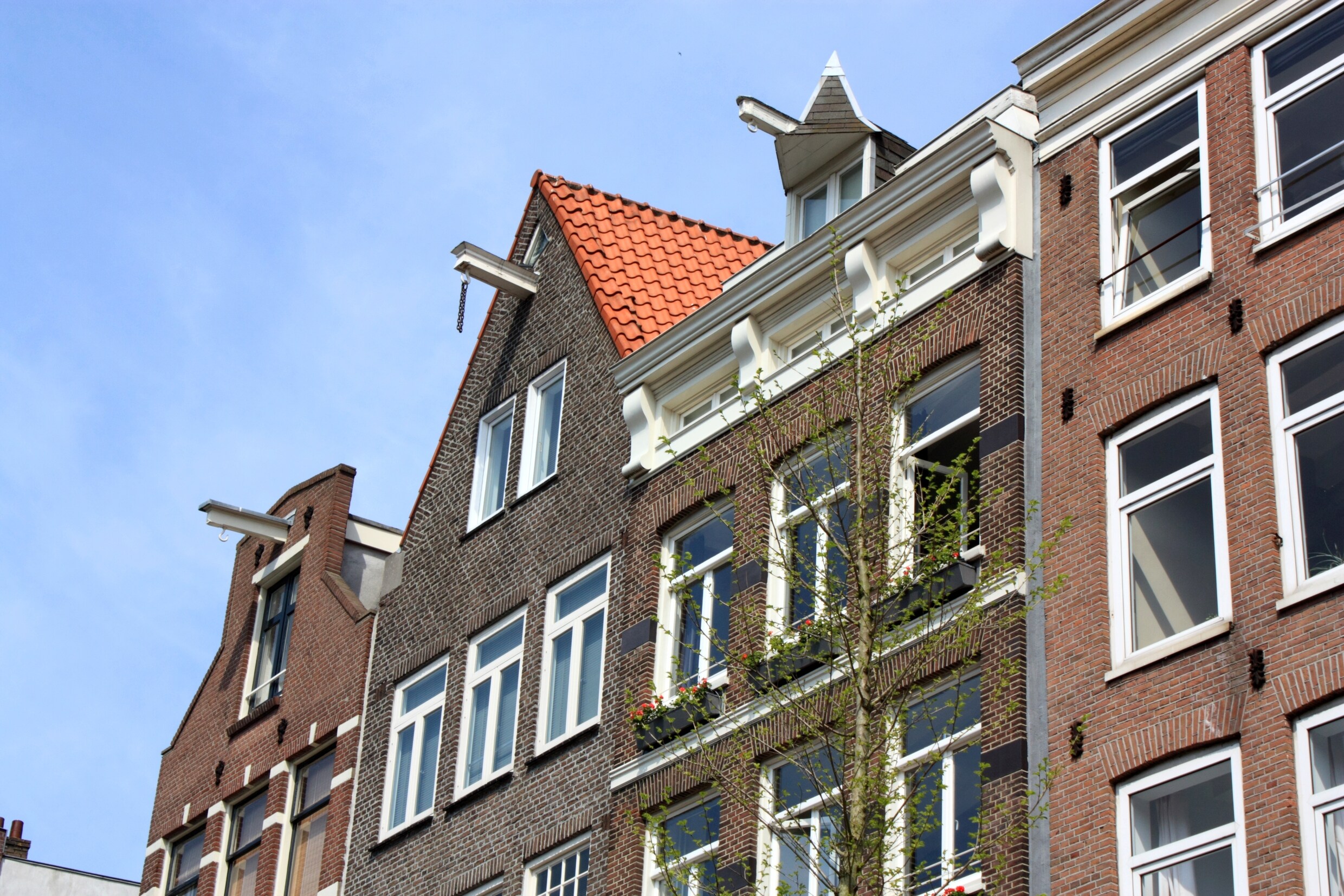 Heropleving van de hospita moet woningnood tegengaan in Amsterdam: ‘Een ...