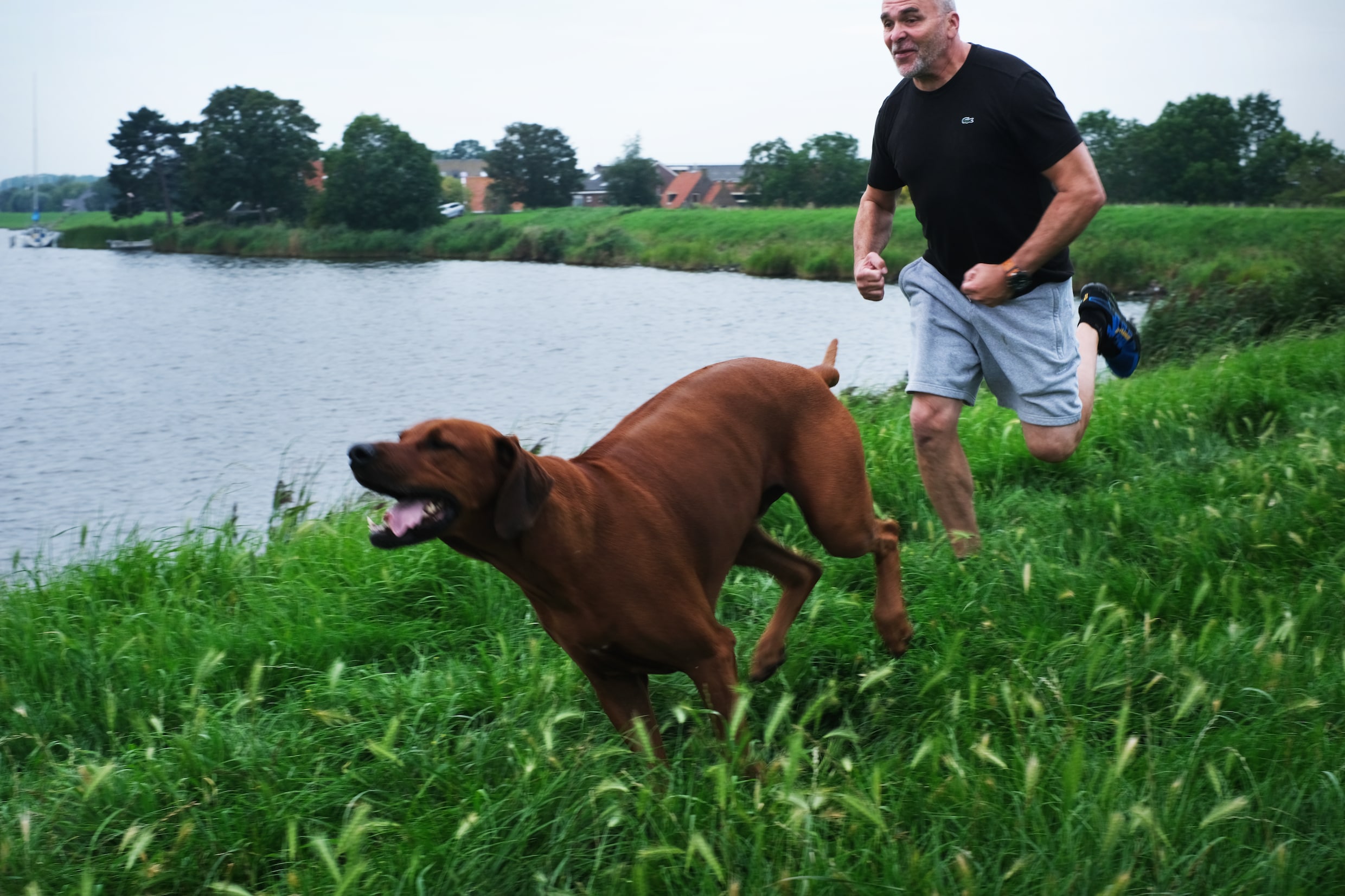Zij namen een hond zodra de kinderen het huis uit waren: ‘Ik had zin in ...
